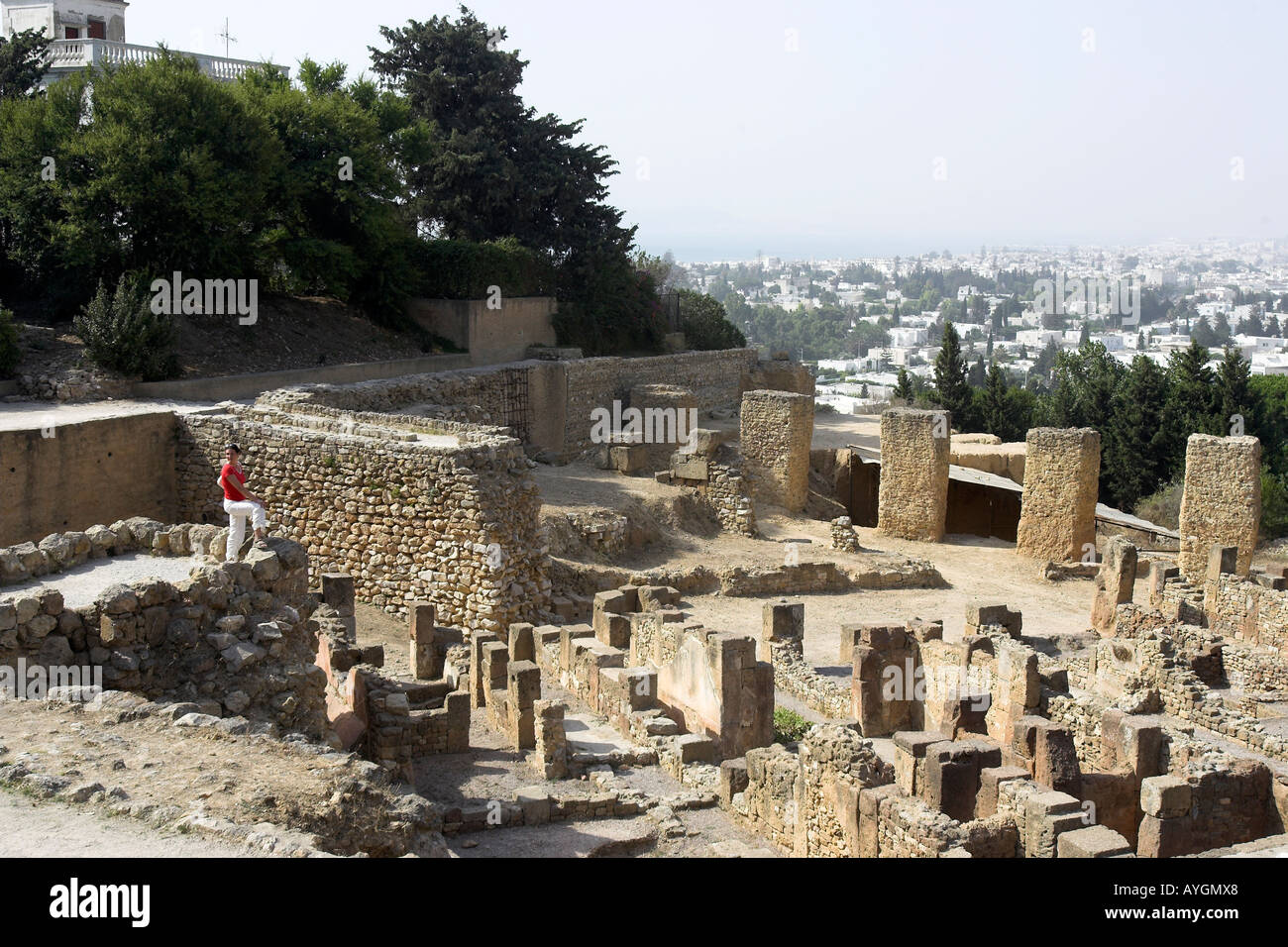 Carthage acropolis byrsa hi-res stock photography and images - Alamy