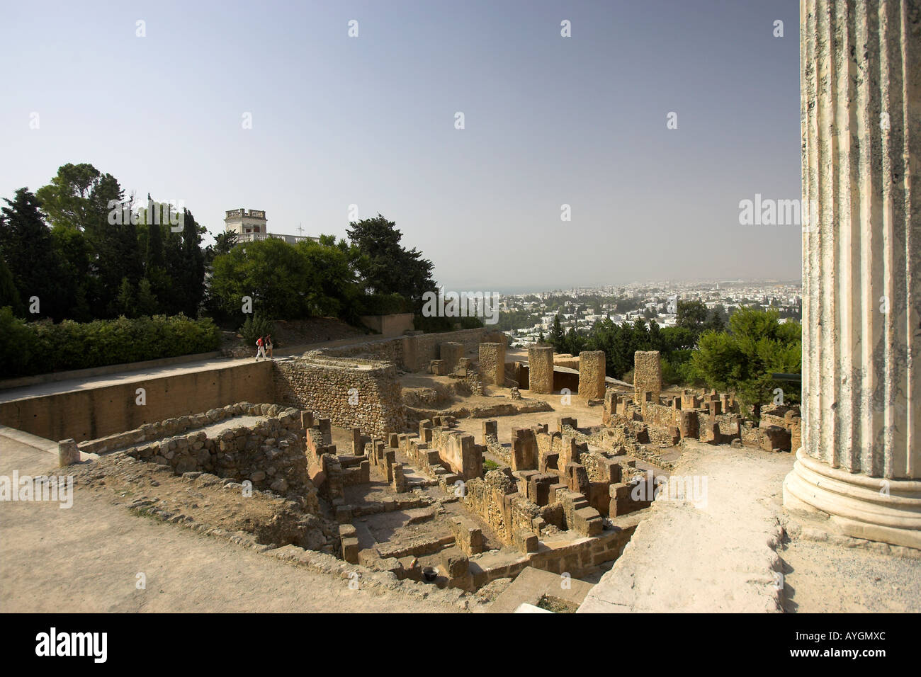 Carthage ruins and column Byrsa Hill Tunisia Stock Photo - Alamy