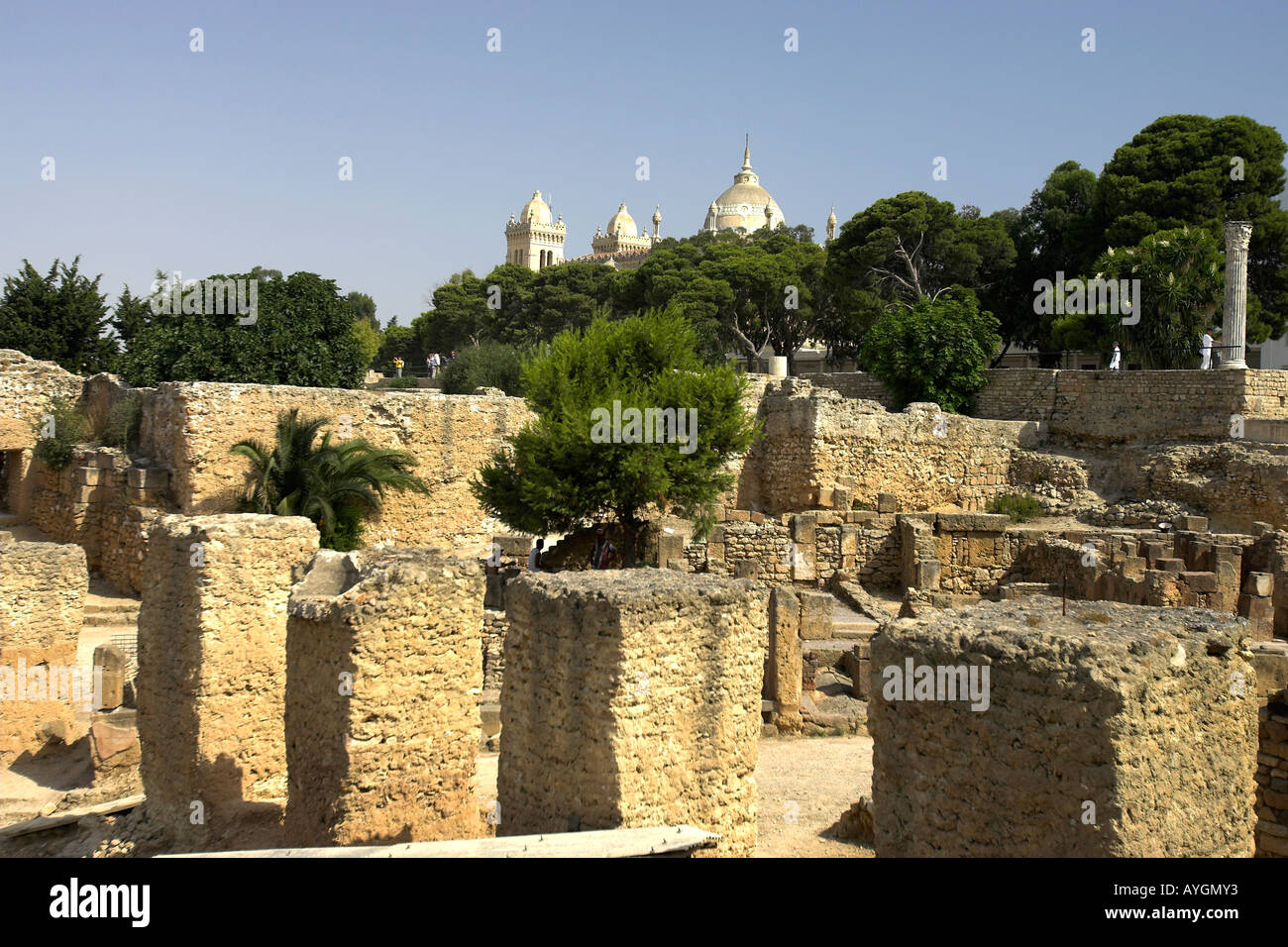 Carthage ruins and museum Byrsa Hill Tunisia Stock Photo - Alamy