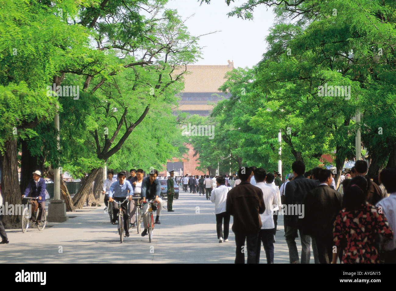Trees and People Stock Photo - Alamy