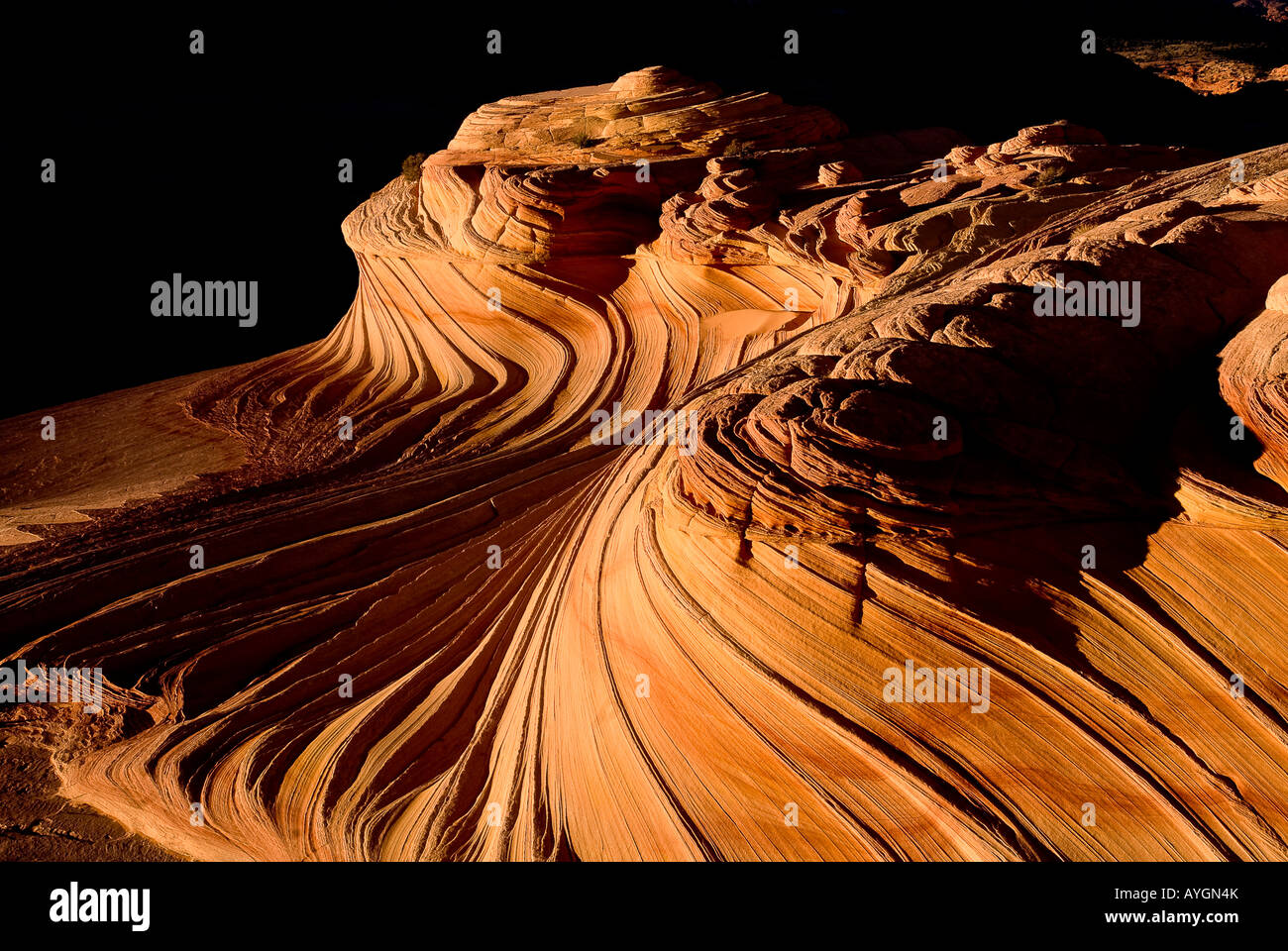 Sandstone wave formations hi-res stock photography and images - Alamy