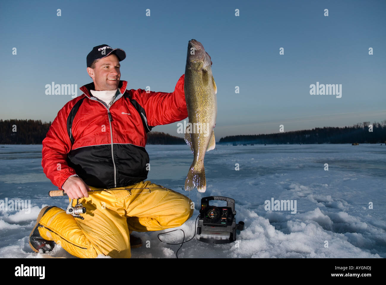 Man holds walleye in evening light in winter Stock Photo - Alamy