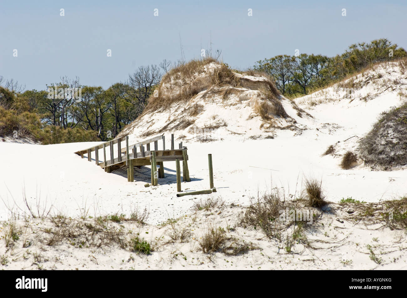 Dr Julian G Bruce St George Island State Park Saint sand dunes coastal ...