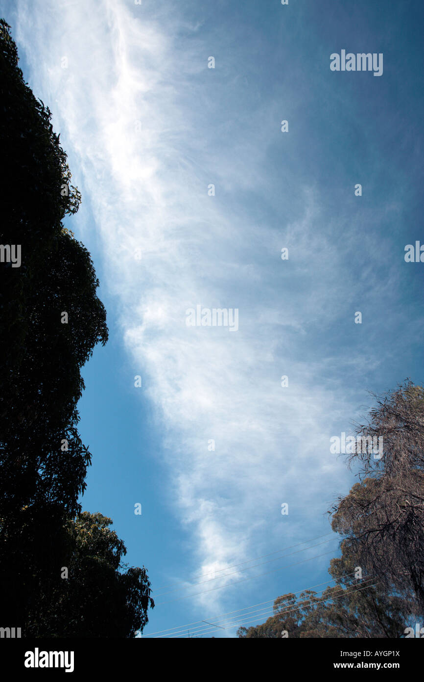 Vertebratus cloud hi-res stock photography and images - Alamy