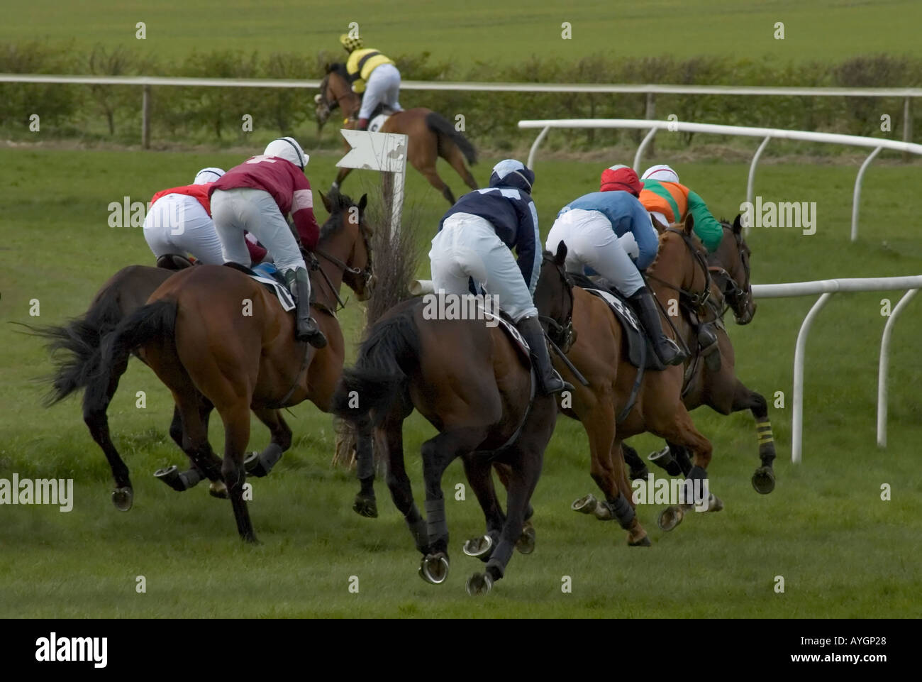 Point to point horse racing at barbury castle Stock Photo - Alamy