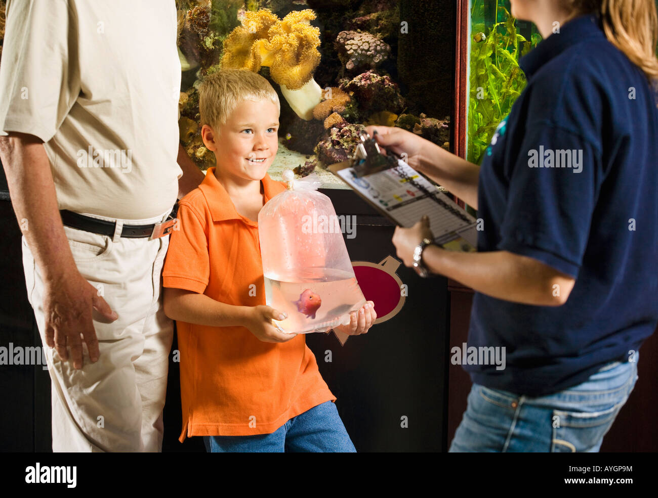 Pet store fish hi-res stock photography and images - Alamy