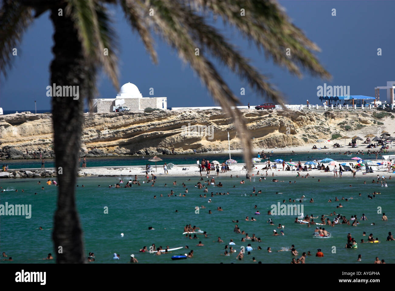 Palm tree frames Monastir Beach as holidaymakers cool off in water ...