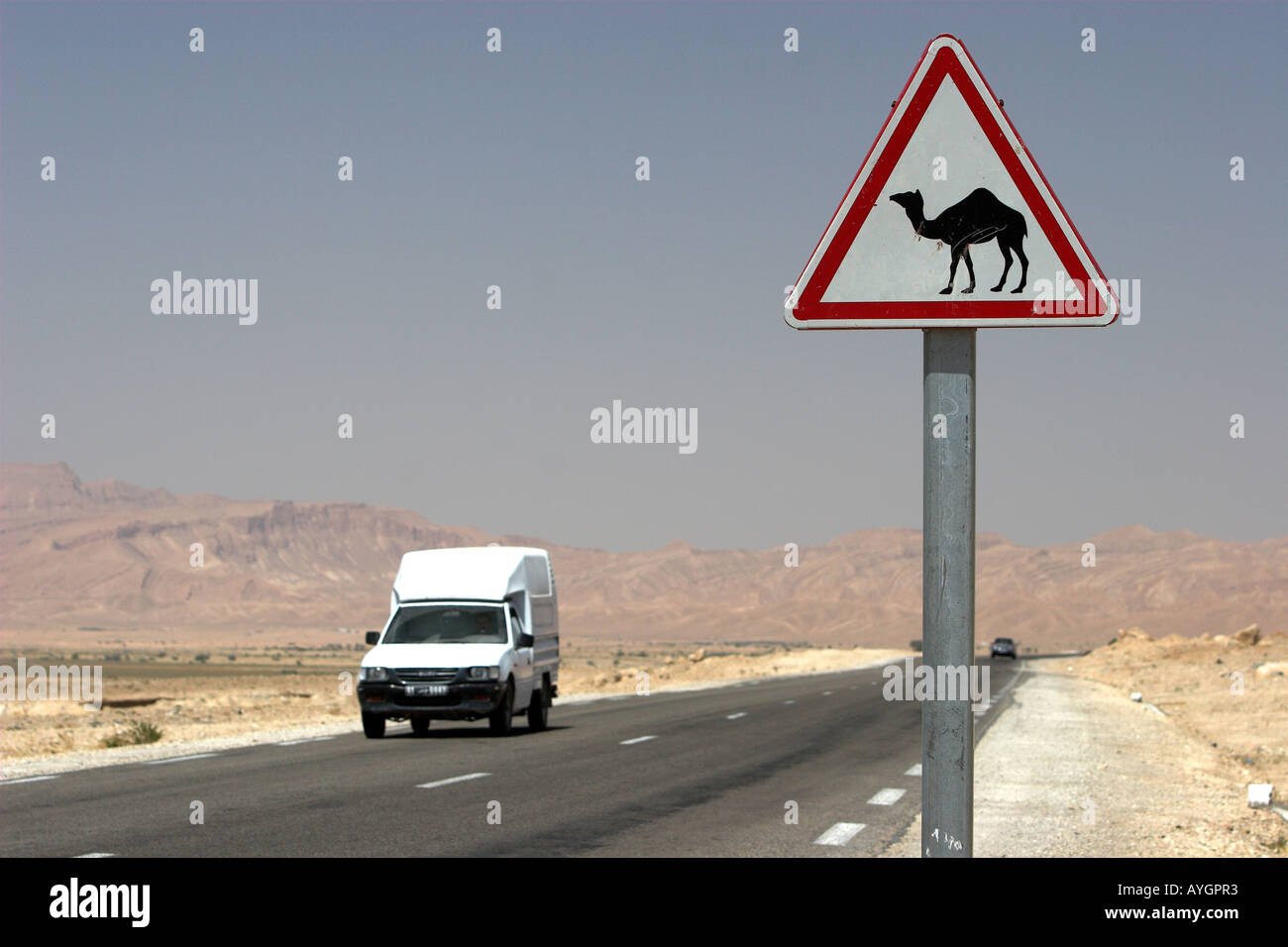 Camel warning highway sign Tunisia Stock Photo - Alamy