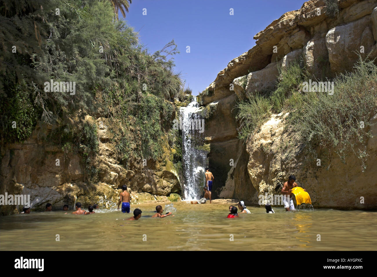 Oasis at tamerza hi-res stock photography and images - Alamy