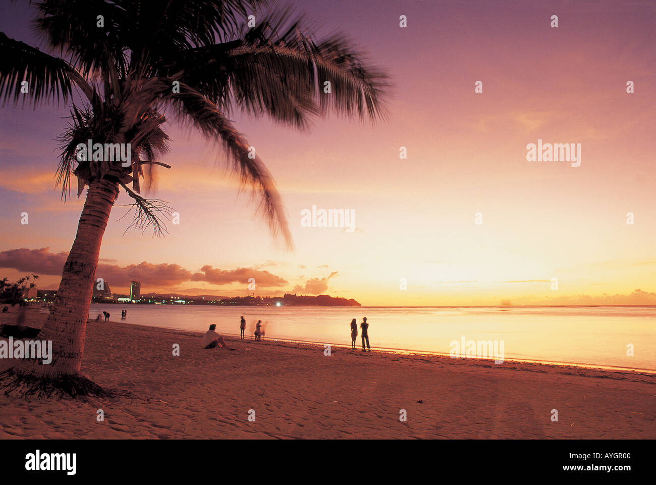 Guam beach palm tree hi-res stock photography and images - Alamy