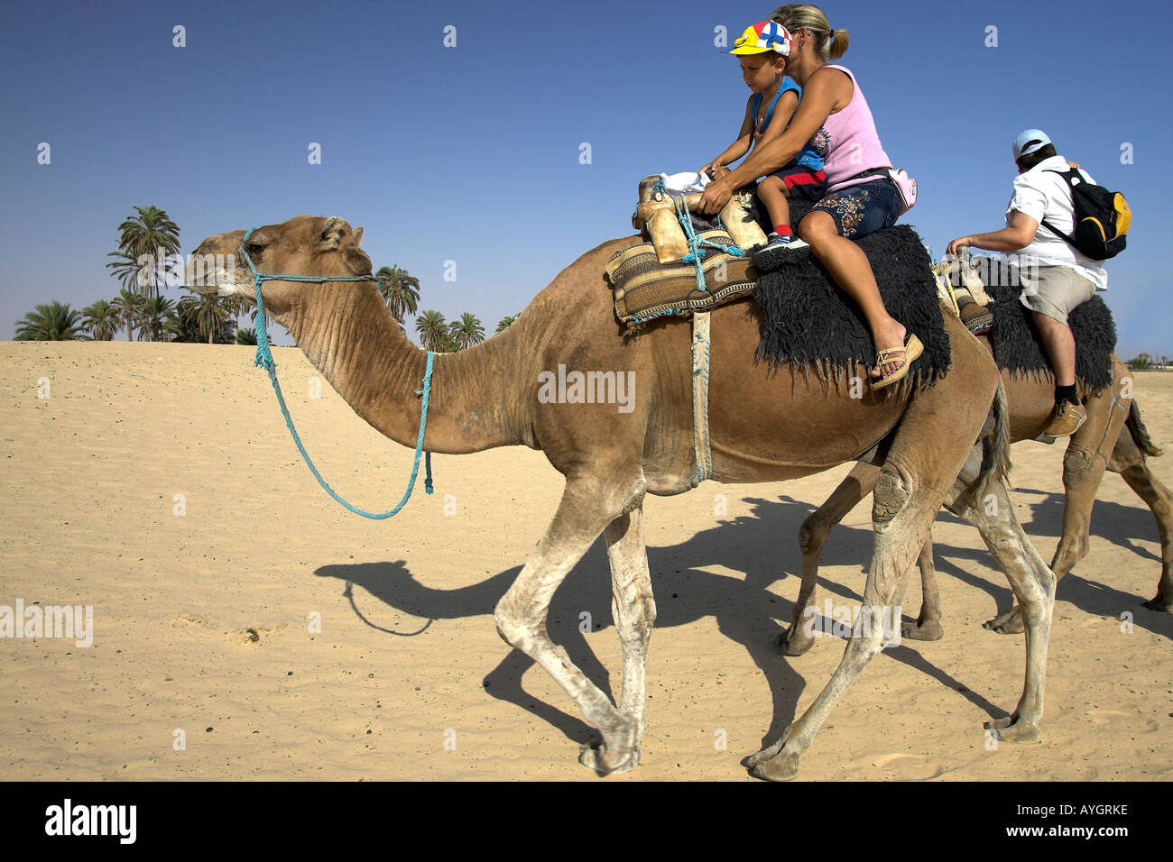 Camel Treks High Resolution Stock Photography and Images - Alamy