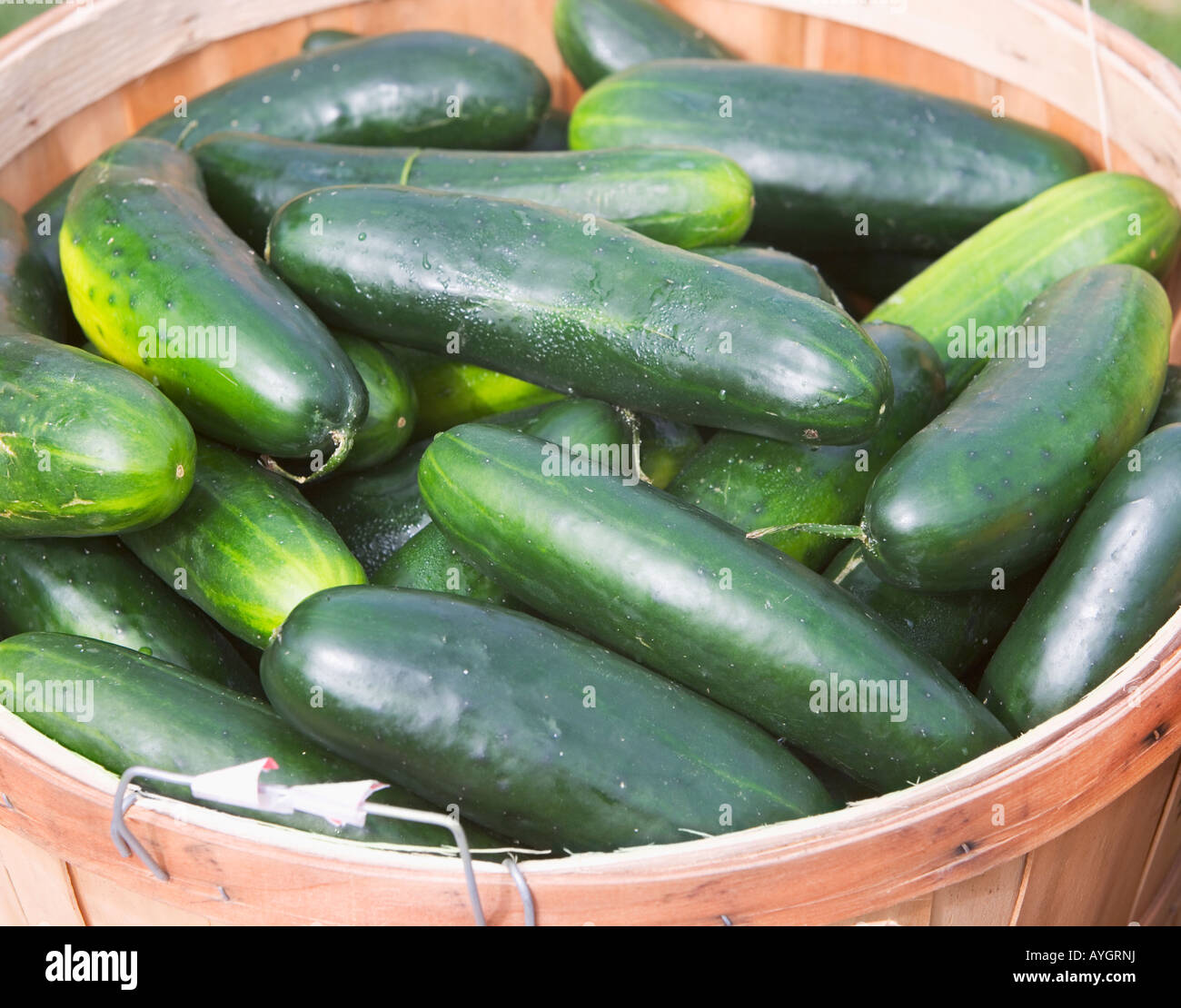 Group of cucumbers hi-res stock photography and images - Alamy