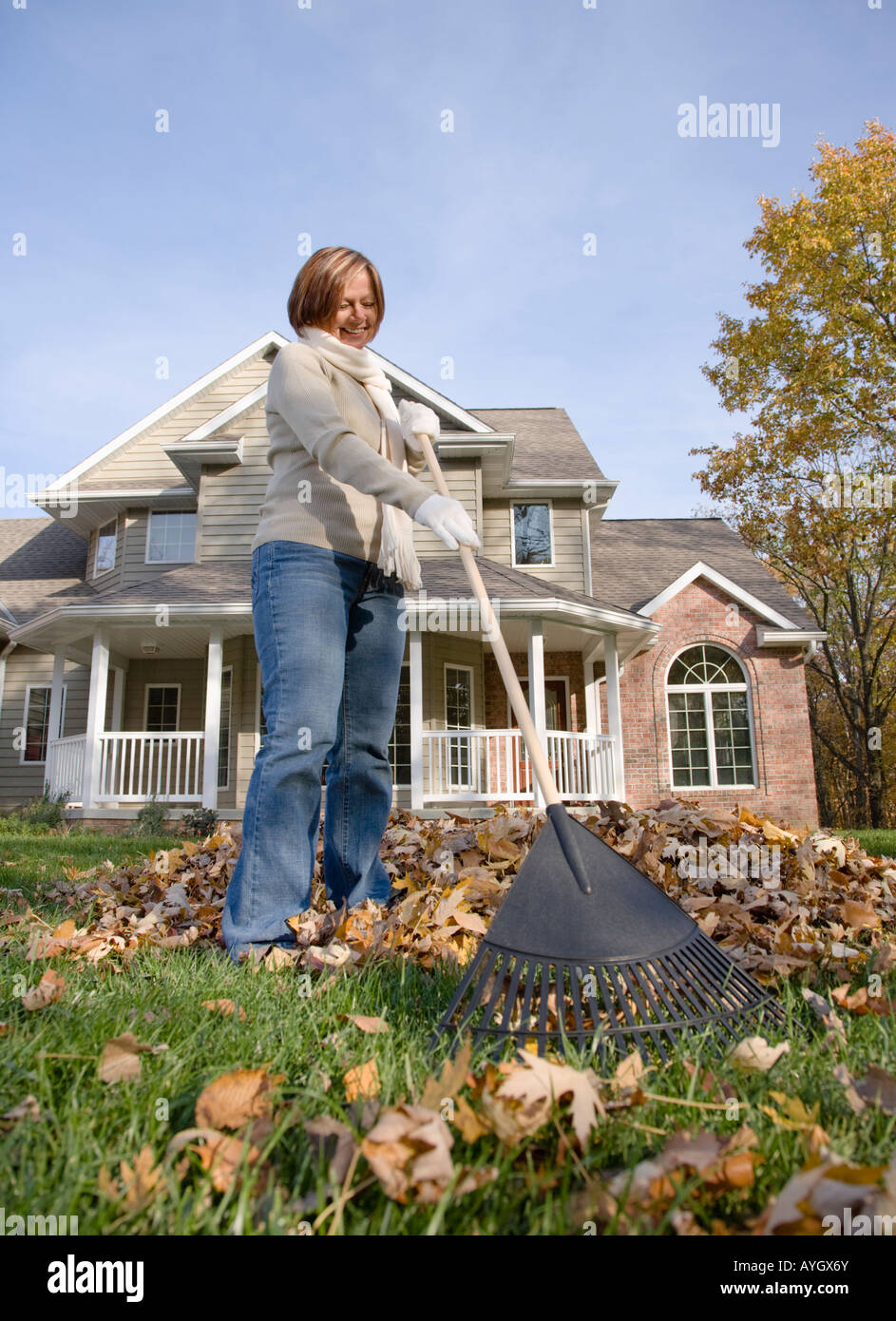 Woman raking leaves Stock Photo - Alamy