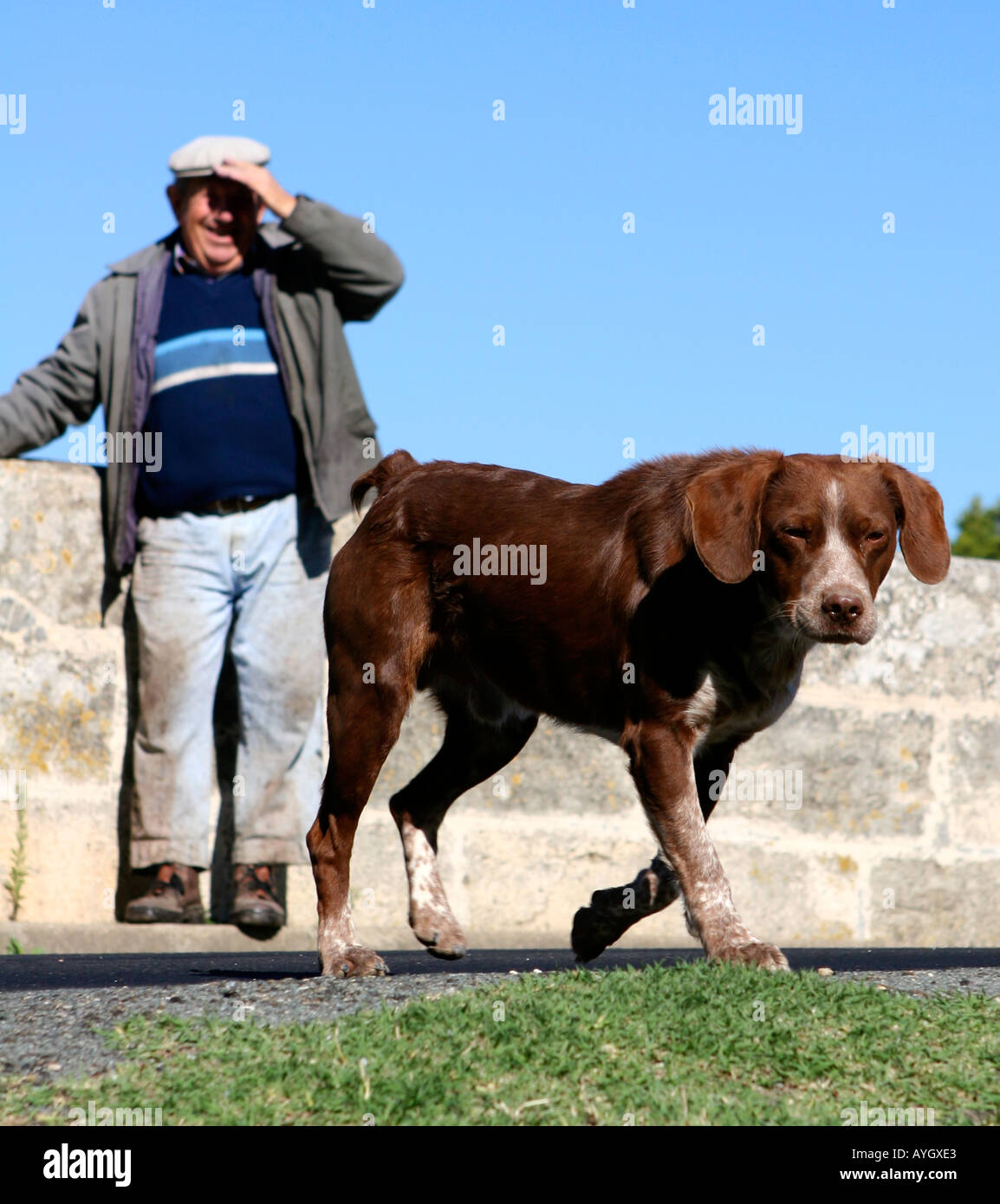 Dog angry man hi-res stock photography and images - Alamy