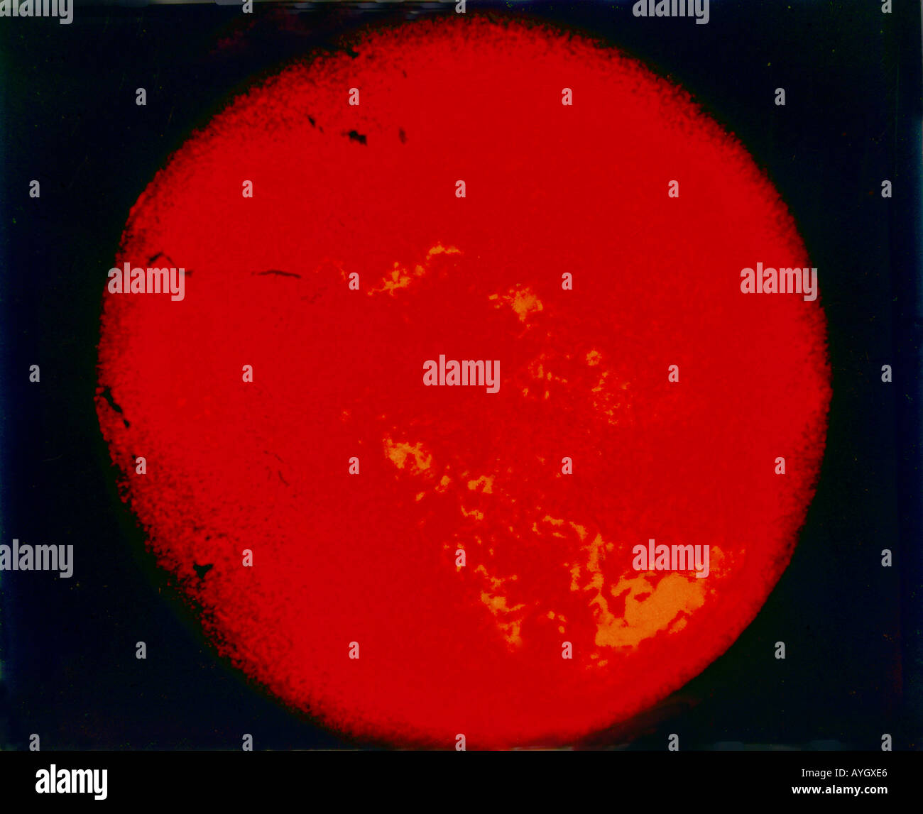 Sun In Hi-alpha Light Stock Photo - Alamy