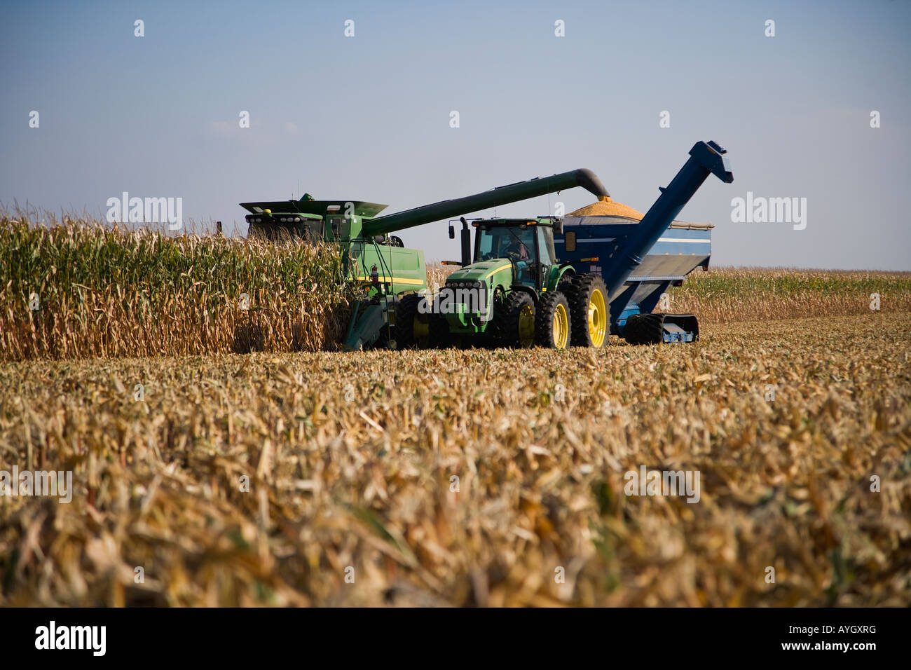 Combine harvesting corn hi-res stock photography and images - Alamy