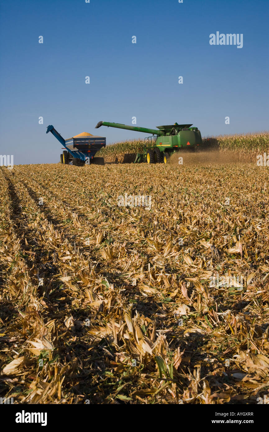 Combine in cornfield hi-res stock photography and images - Alamy