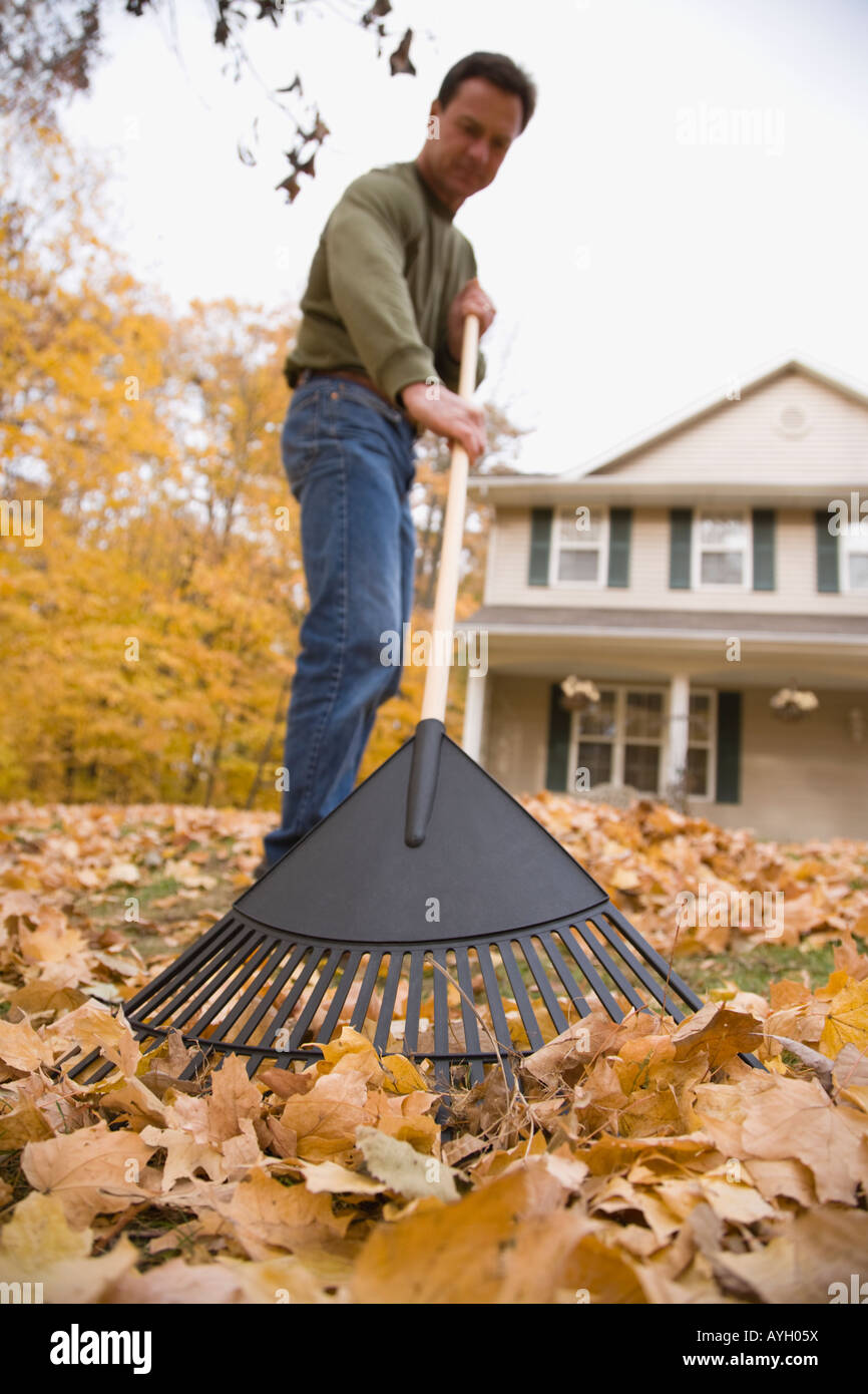 Man raking autumn leaves Stock Photo - Alamy