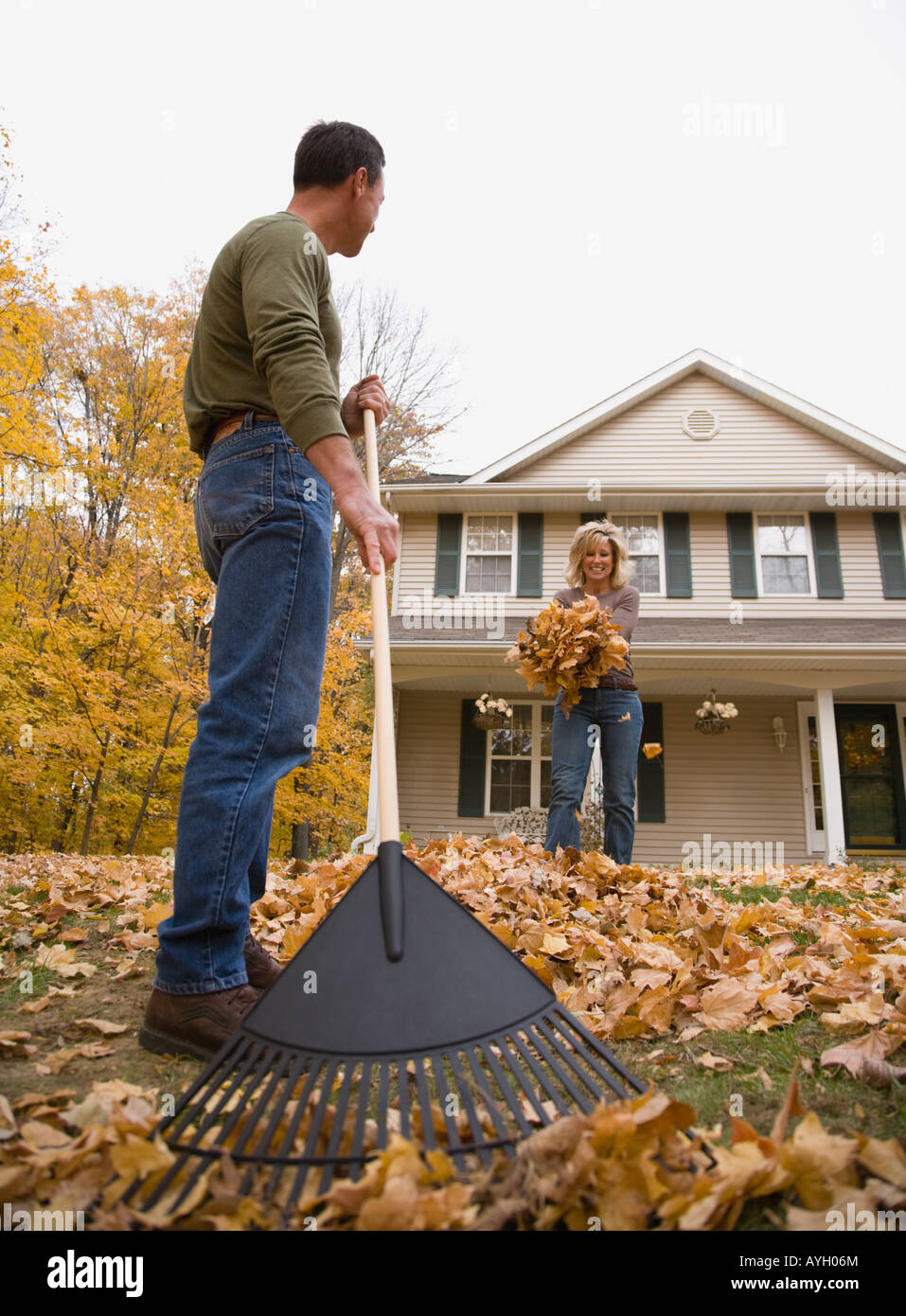 Autumn leaf pile low angle hi-res stock photography and images - Alamy
