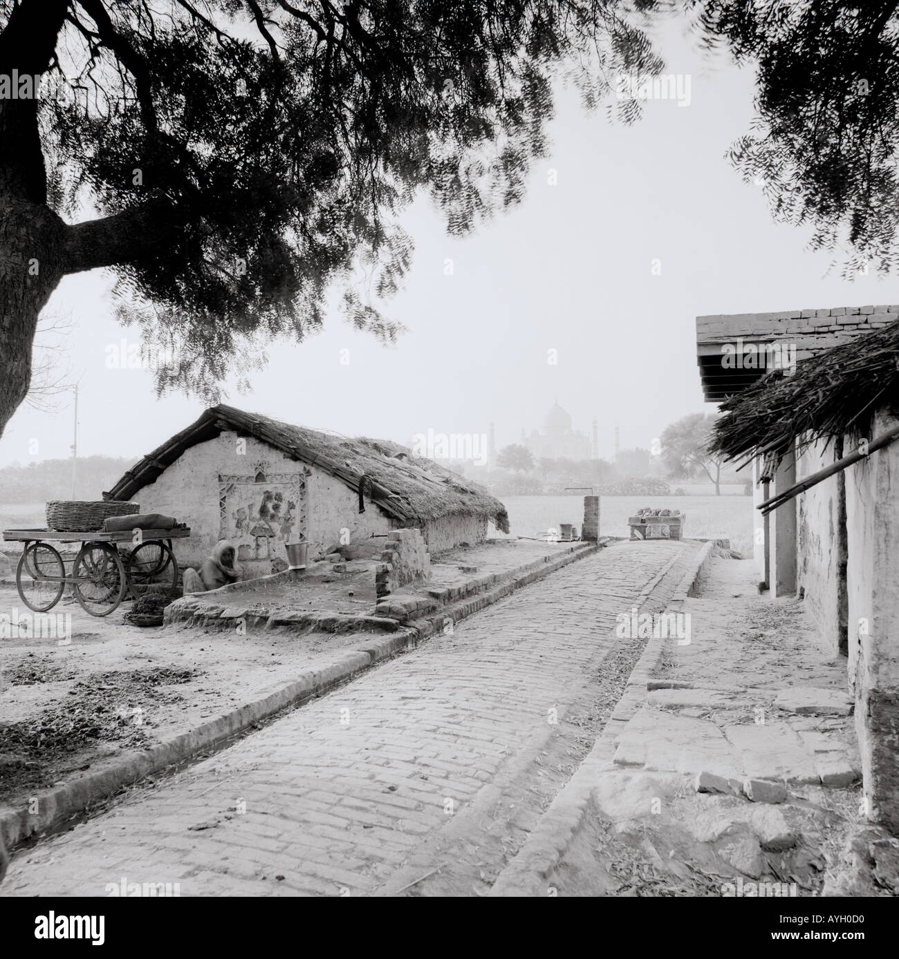 River jumna hi-res stock photography and images - Alamy