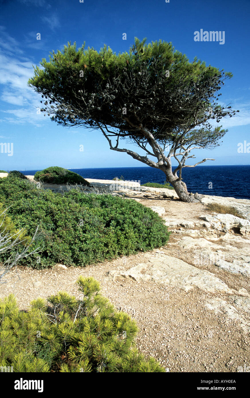 Regions of mallorca hi-res stock photography and images - Alamy