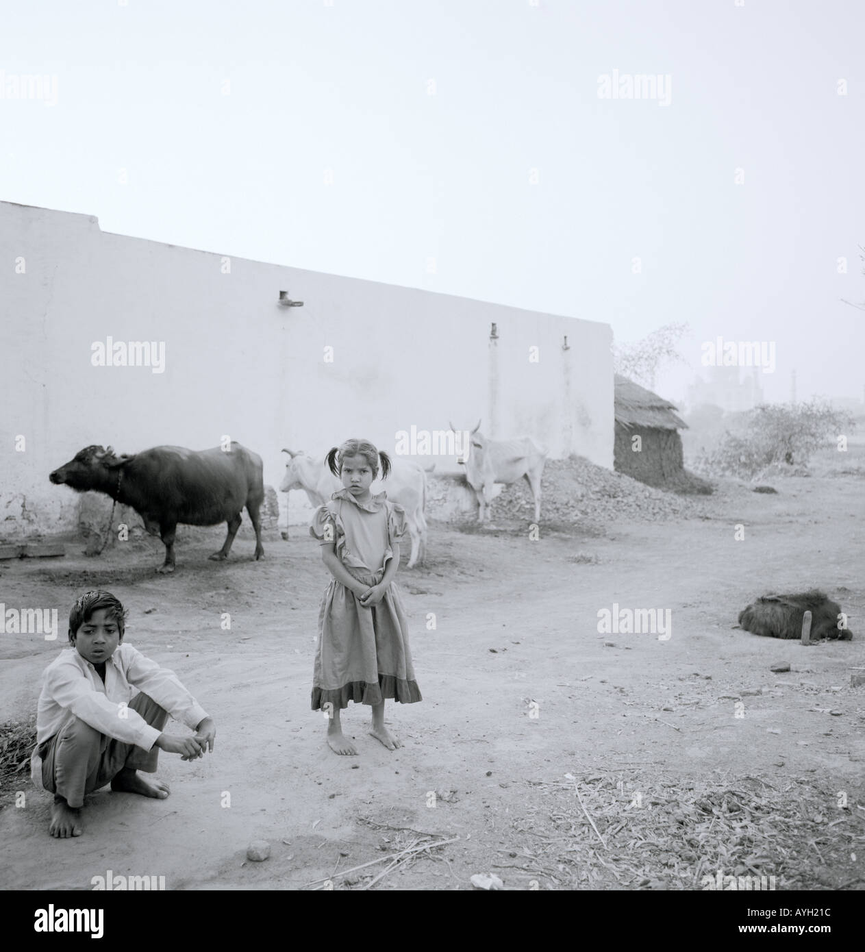 Village children near River Yamuna Jumna from the Taj Mahal Agra Uttar ...