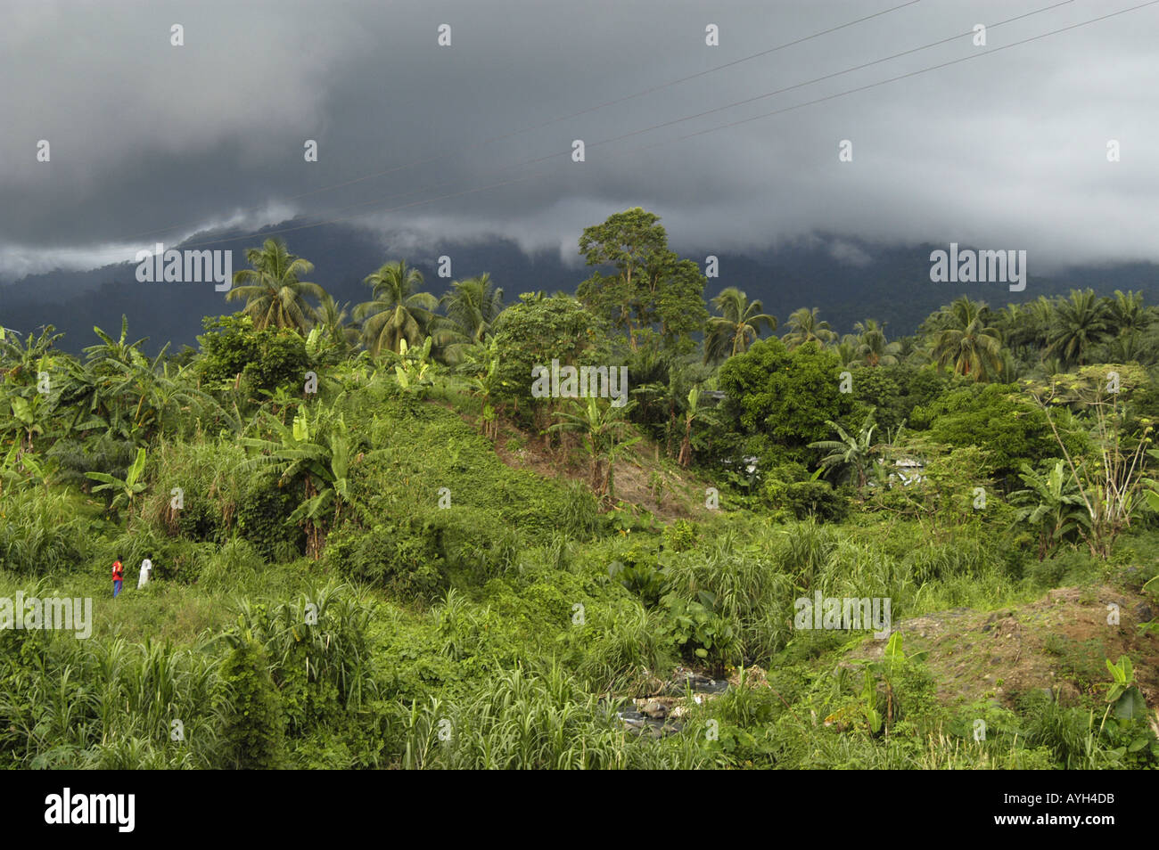 Kameroen hi-res stock photography and images - Alamy