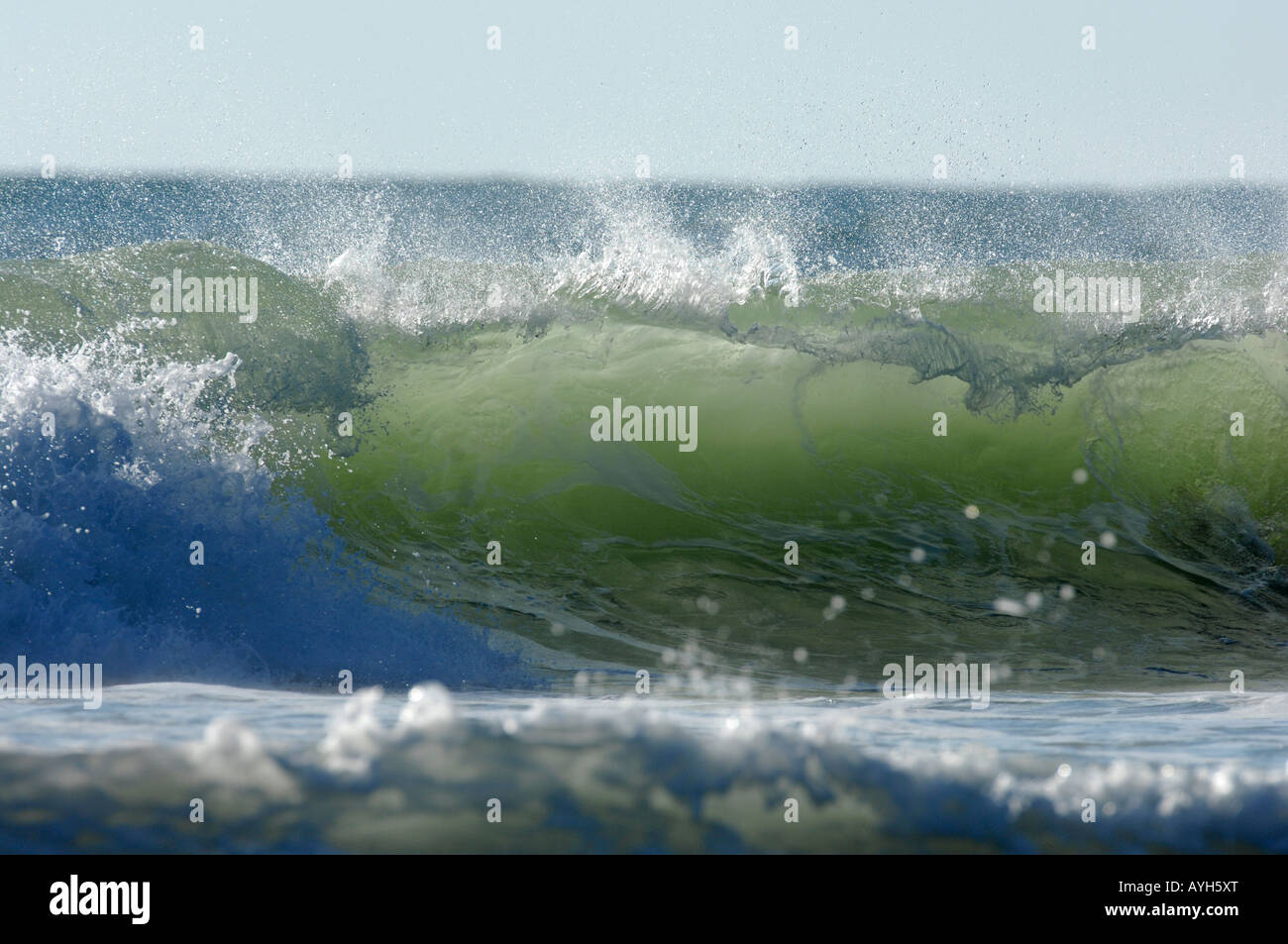 A surf wave breaking Stock Photo - Alamy