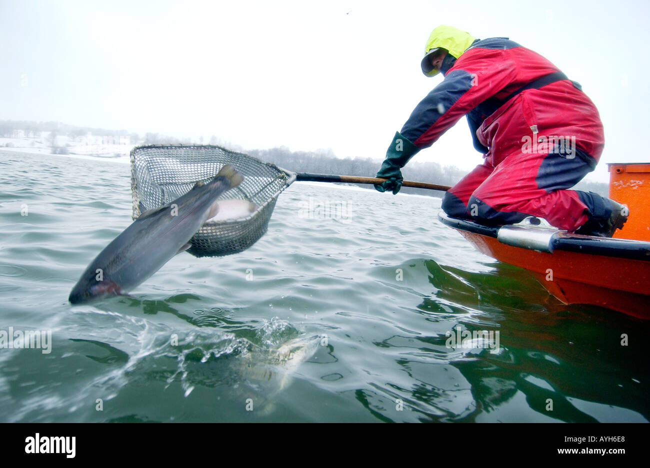 Fishnet stocking hi-res stock photography and images - Alamy