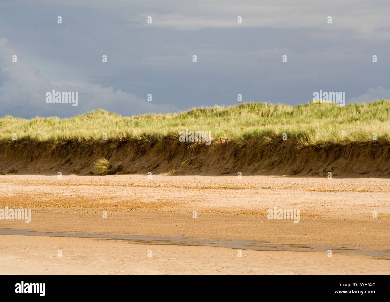 Marram grass sand sea sky weather wind hi-res stock photography and ...