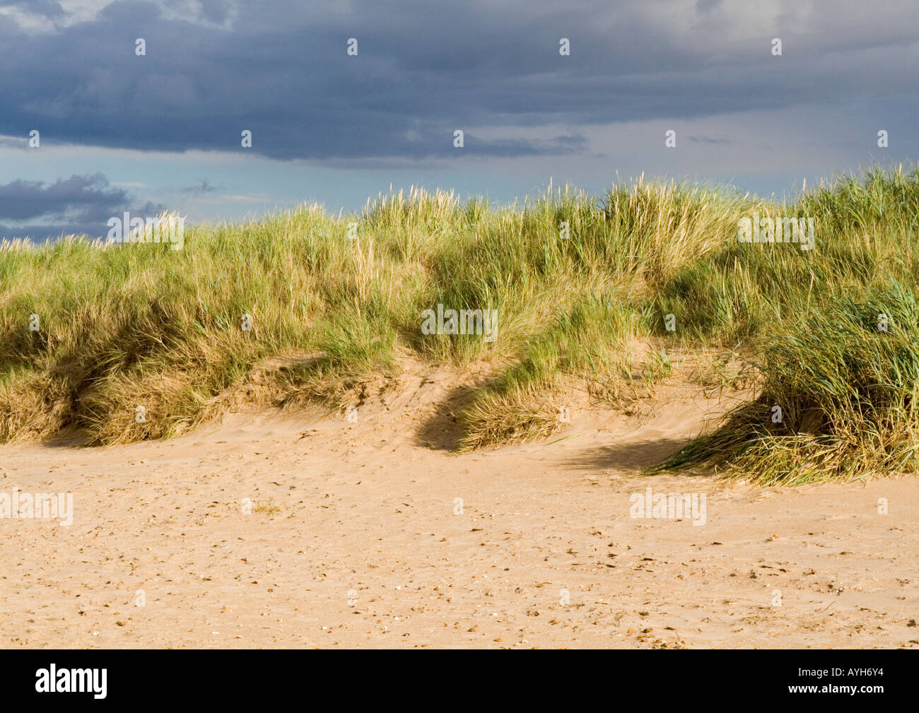 Marram grass sand sea sky weather wind hi-res stock photography and ...