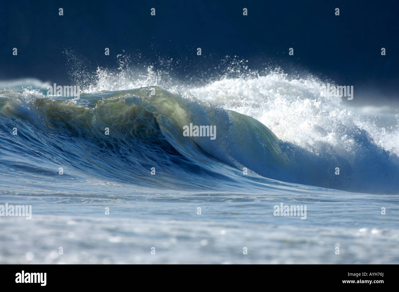 A surf wave breaking Stock Photo - Alamy