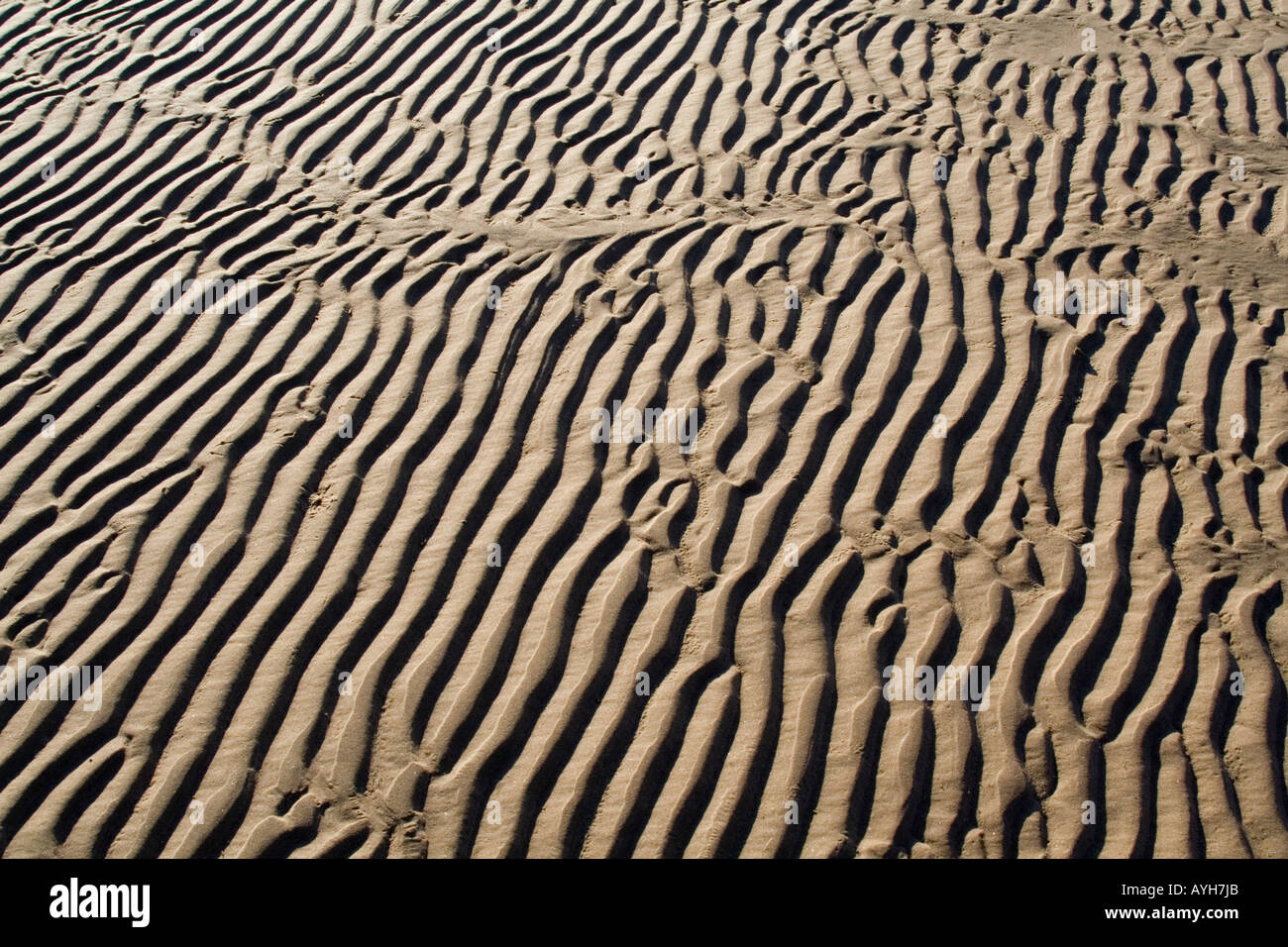 Allover patterns hi-res stock photography and images - Alamy