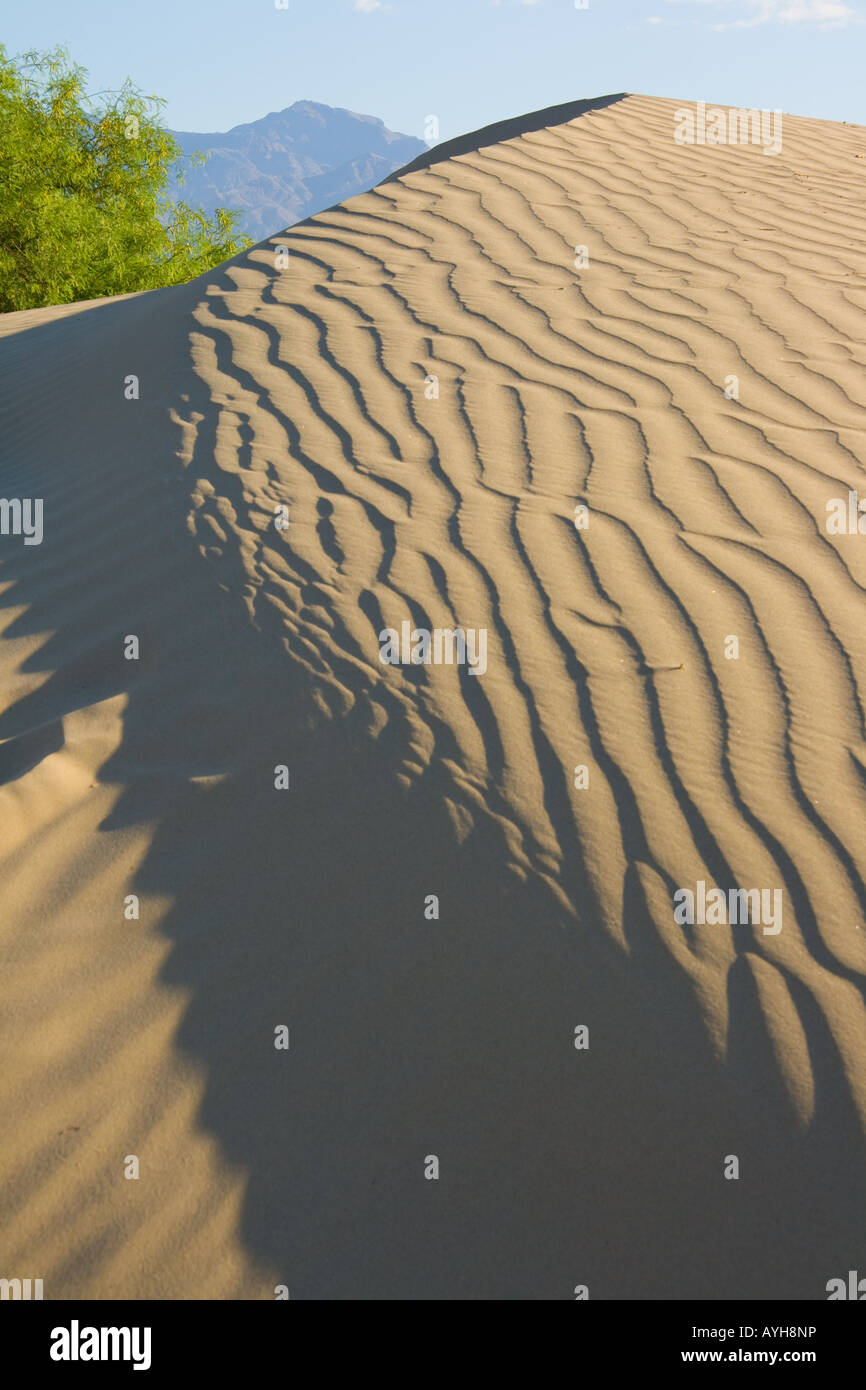 Desert sand dune and pattern Stock Photo - Alamy