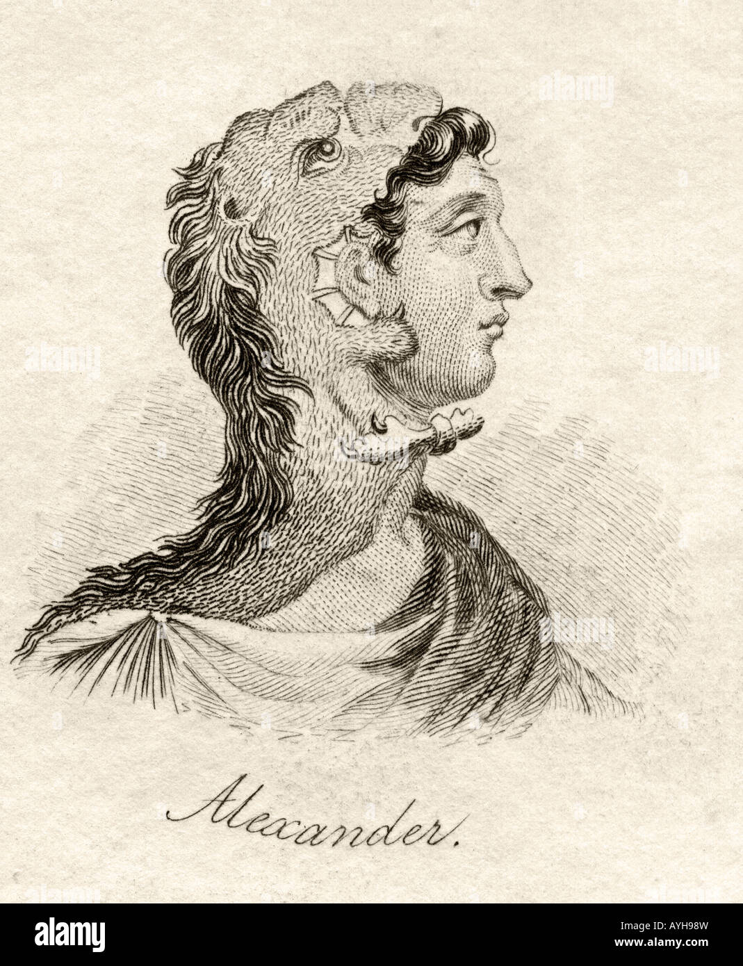 Alexander the great portrait hi-res stock photography and images - Alamy