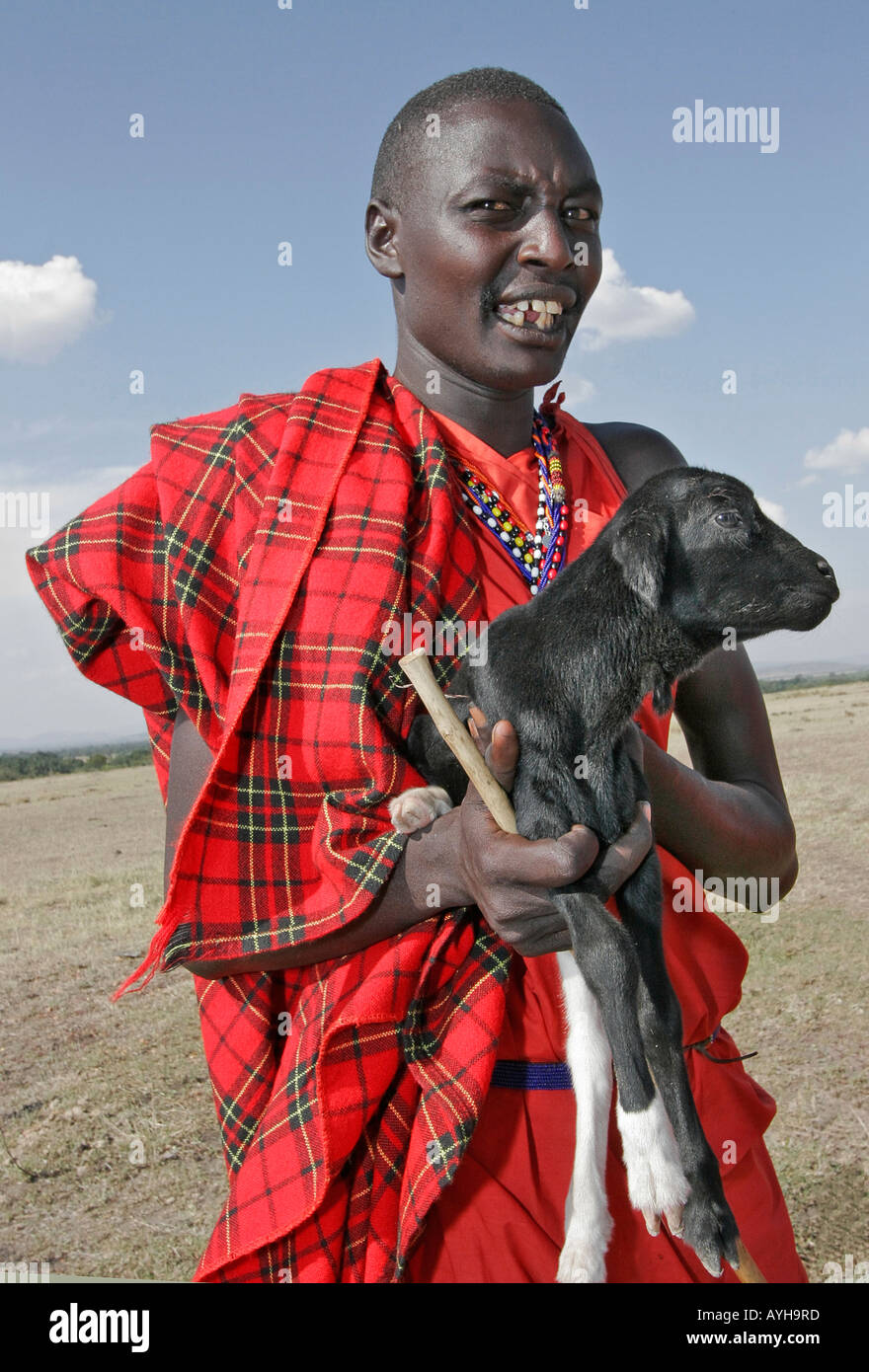 Man with goat hi-res stock photography and images - Alamy