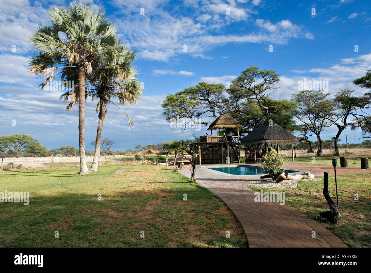 Onguma nature reserve hi-res stock photography and images - Alamy