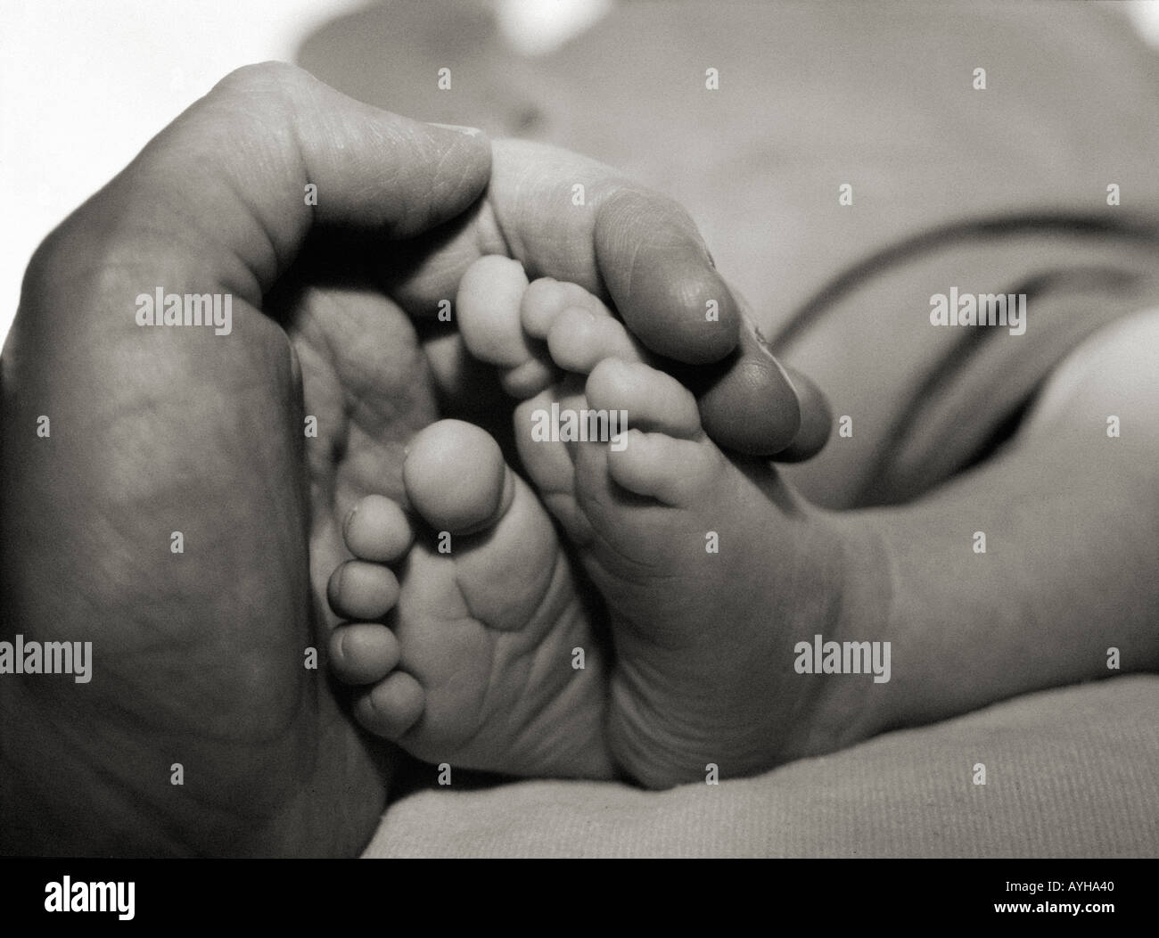 Feet protect hi-res stock photography and images - Alamy