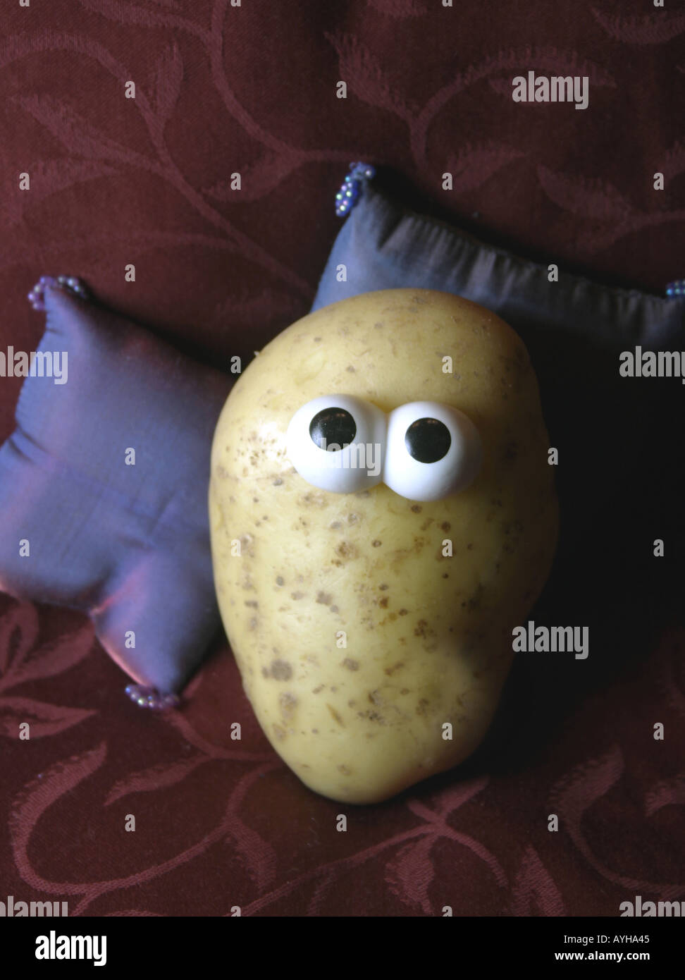Couch potato hi-res stock photography and images - Alamy