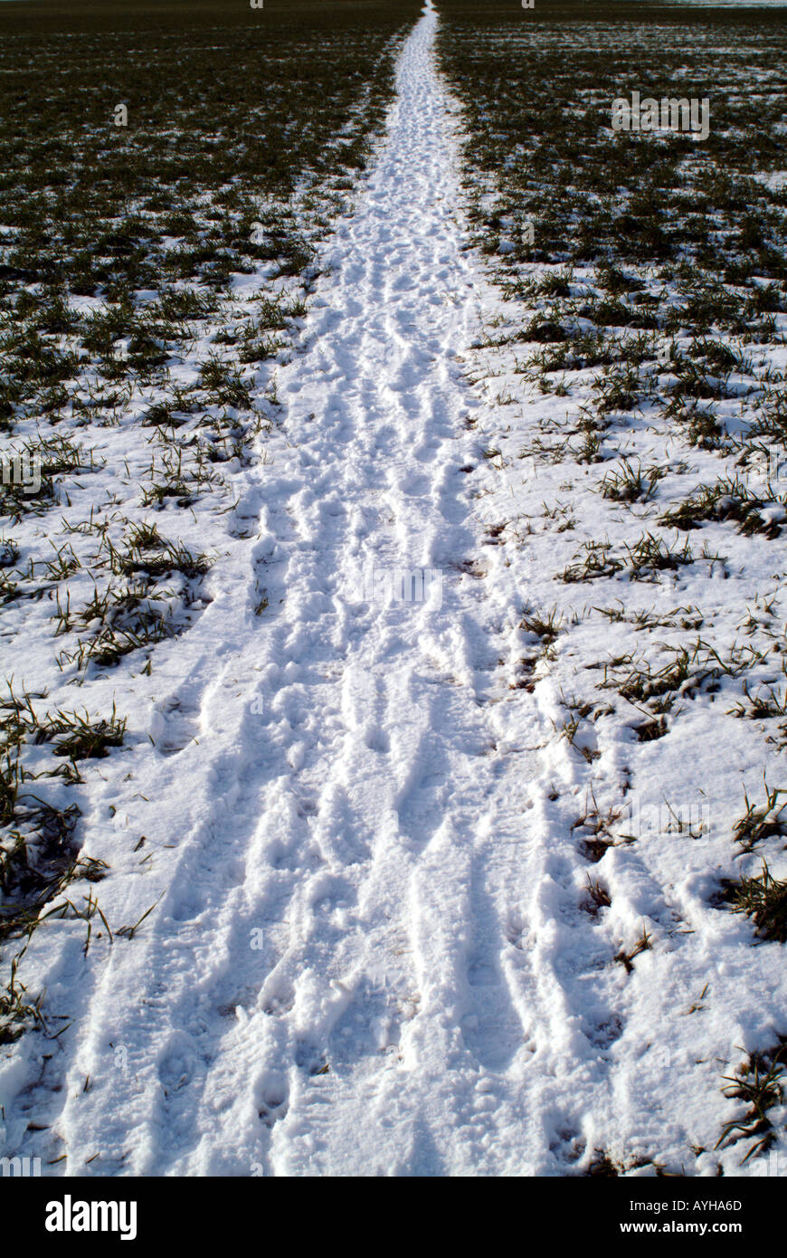 Countryside field snow footsteps hi-res stock photography and images ...