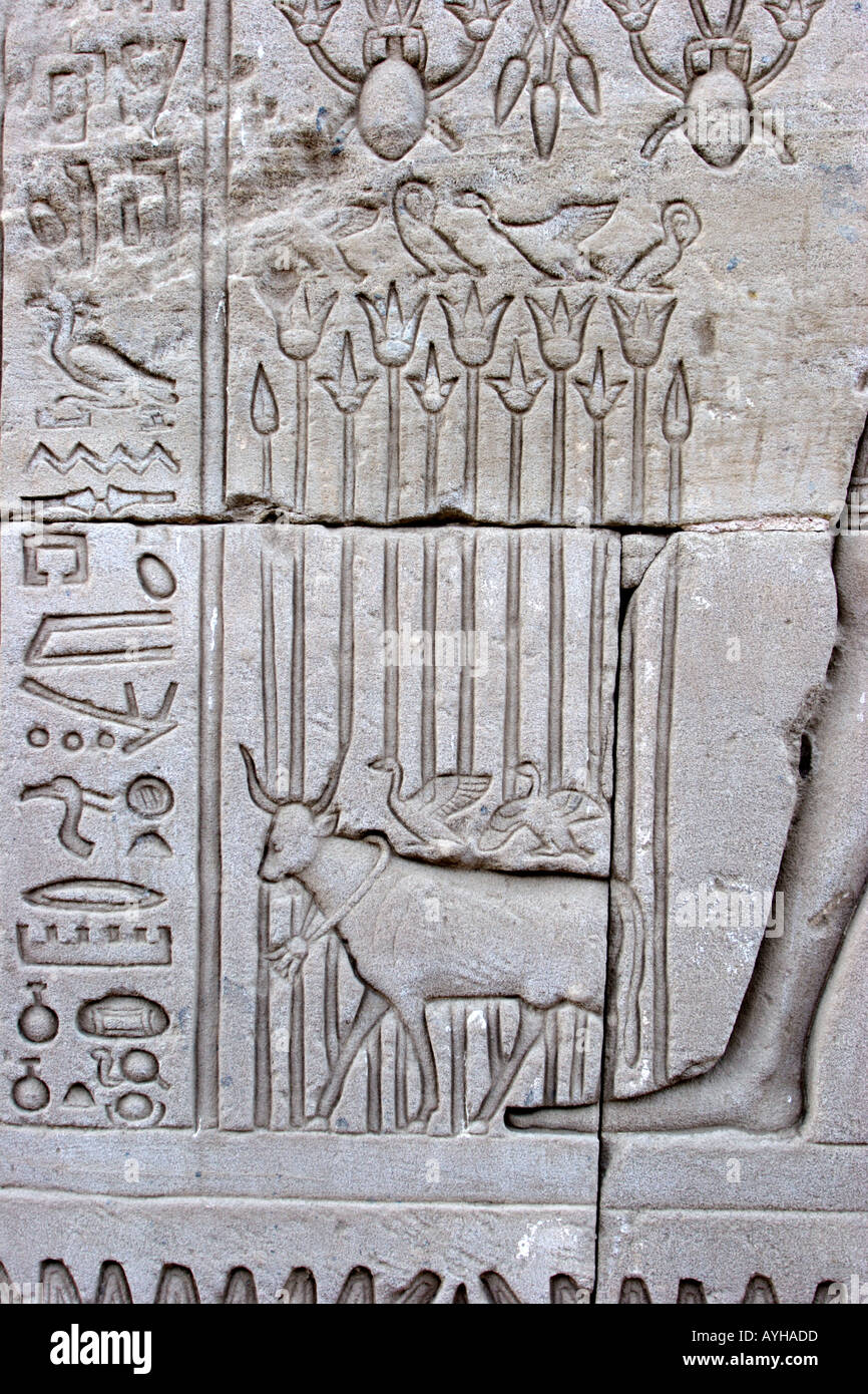 Temple of Denderah Queen Cleopatra human figures and hieroglyphics ...