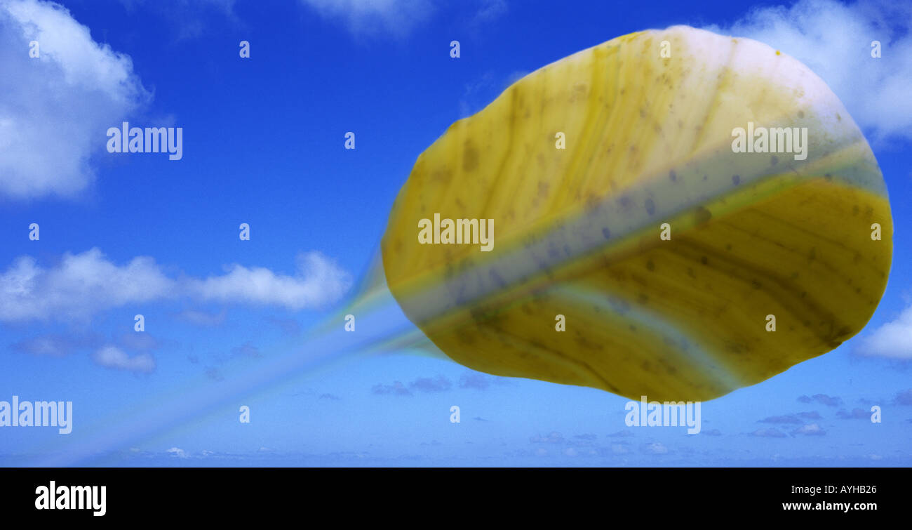 Flying potato hi-res stock photography and images - Alamy