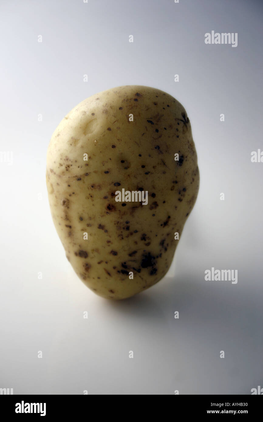 The humble potato Stock Photo - Alamy