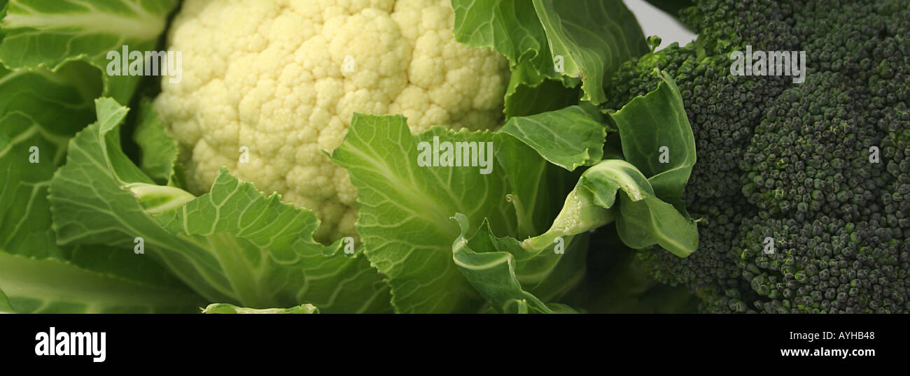 Anti cancer cauliflower hi-res stock photography and images - Alamy