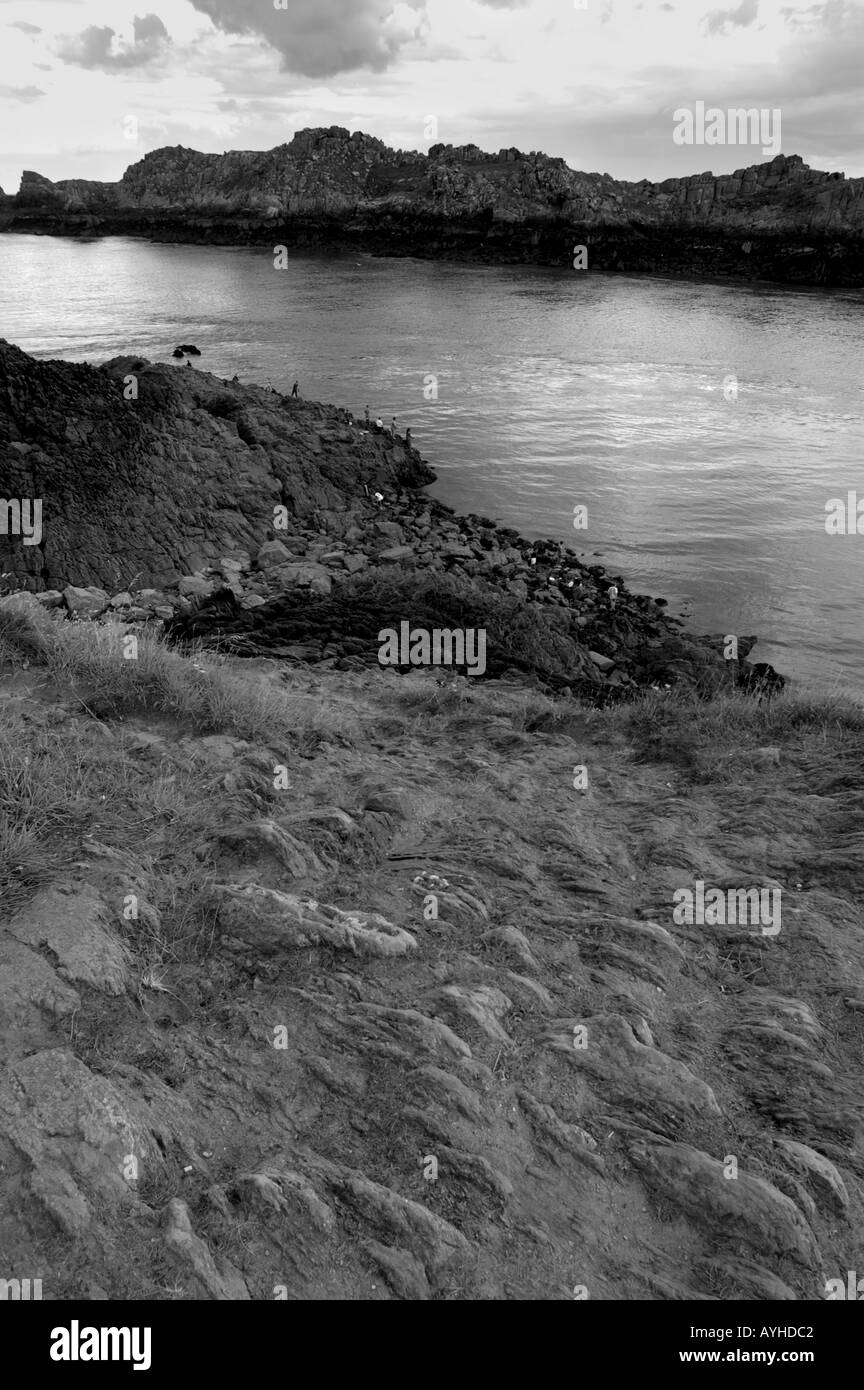 The groin Black and White Stock Photos & Images - Alamy