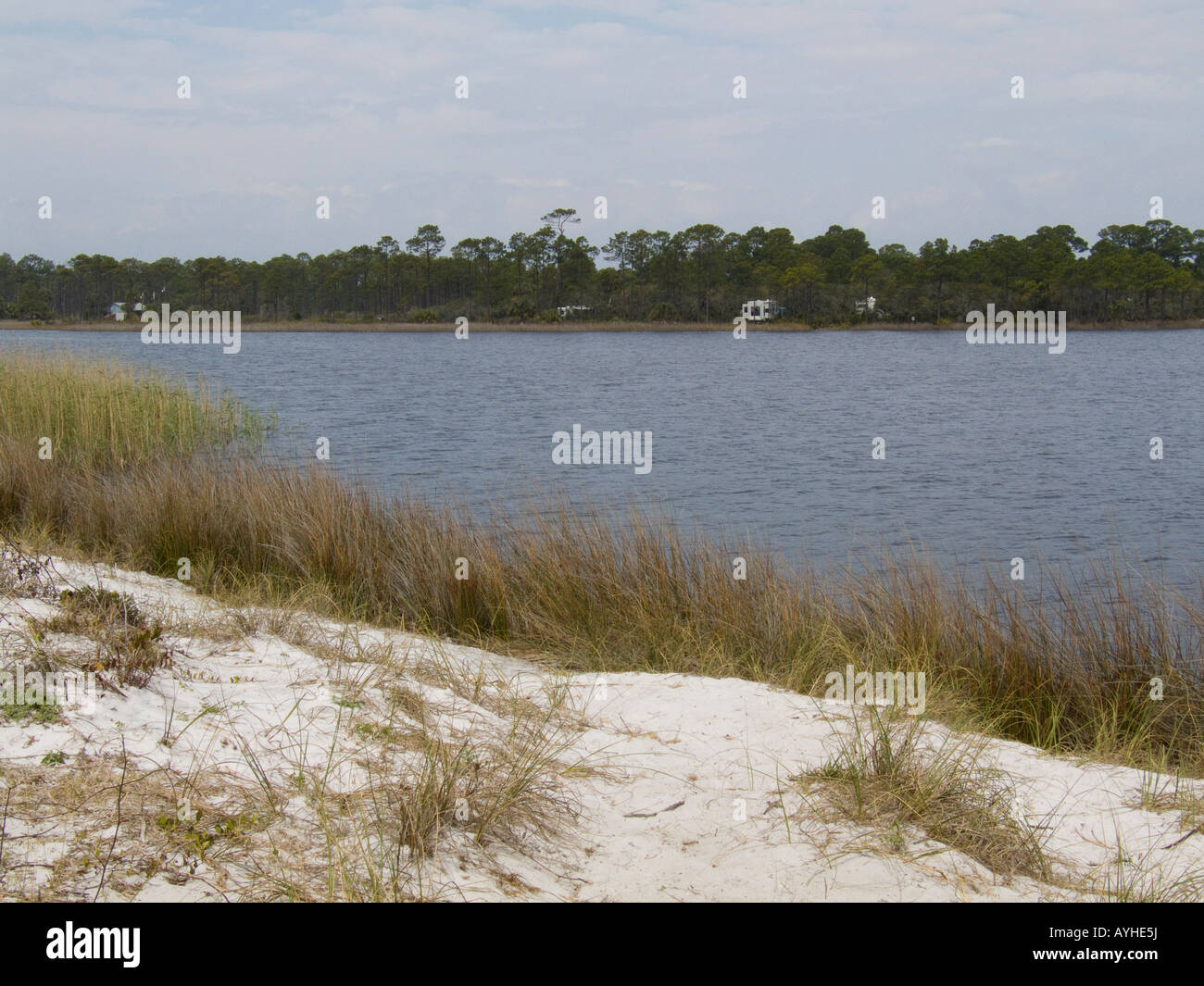 Grayton Beach State Park Florida Stock Photo - Alamy