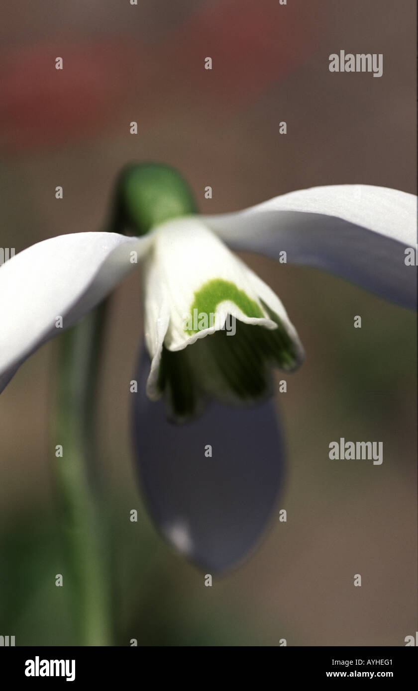 Sam arnott hi-res stock photography and images - Alamy