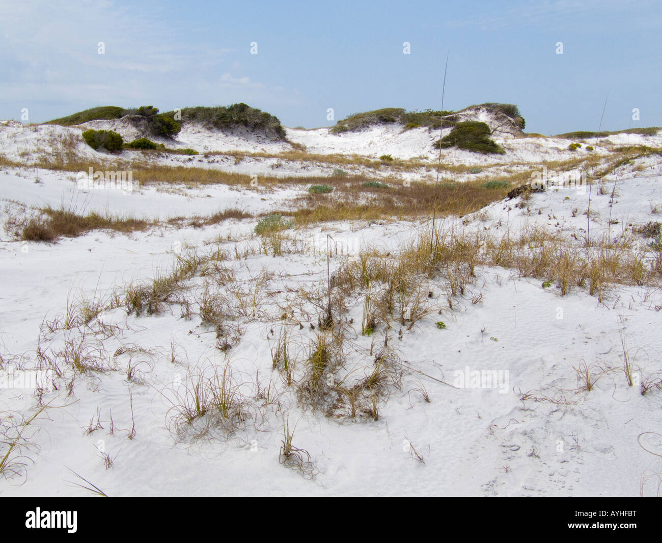 Grayton Beach State Park Florida shifting sand dunes Stock Photo - Alamy