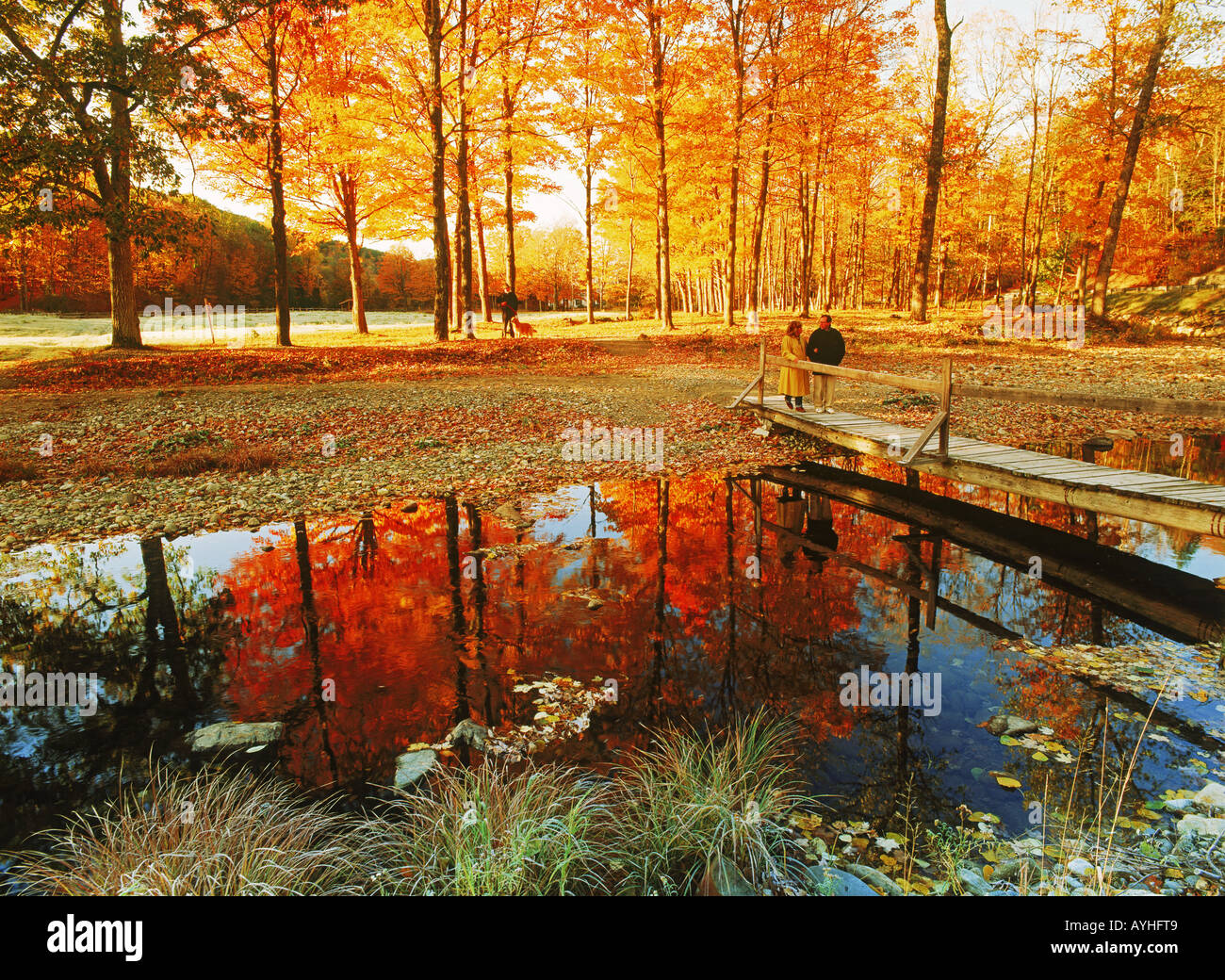 Grafton road hi-res stock photography and images - Alamy