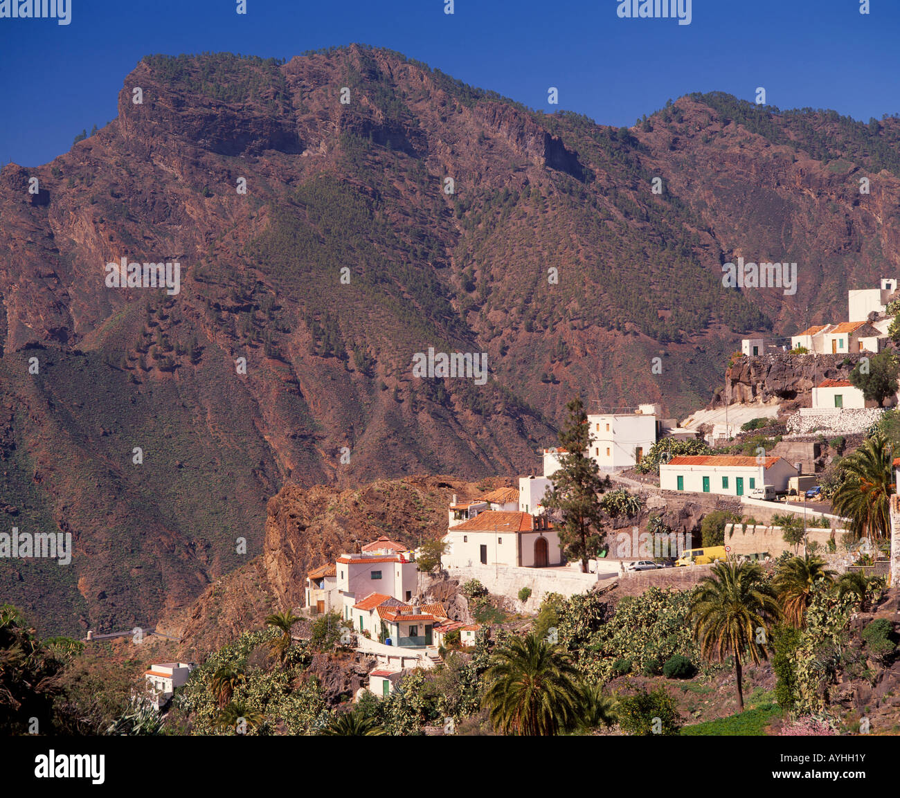 El carrizal hi-res stock photography and images - Alamy